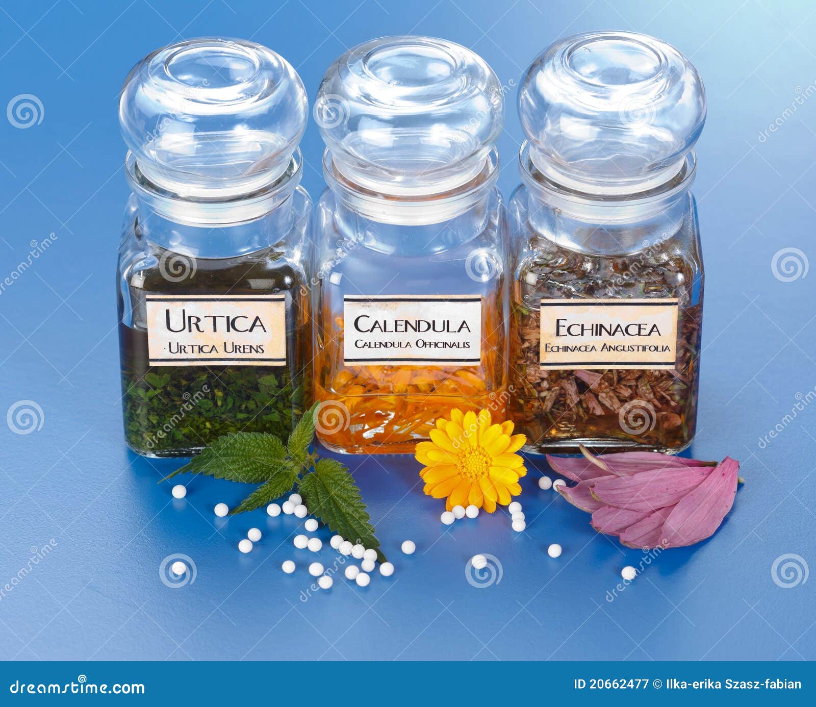 Plant Extract Preparation In Science Lab Tube, Organic Cosmetics ...