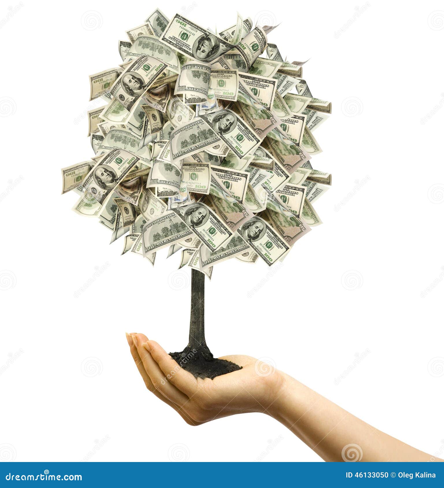 Plant in female hand stock photo. Image of money, ecology - 46133050