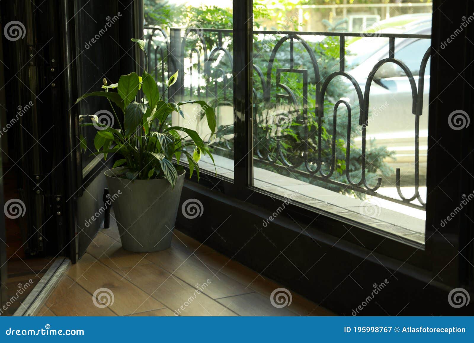 Plant in a Flower Pot in the Restaurant Stock Image - Image of plant ...