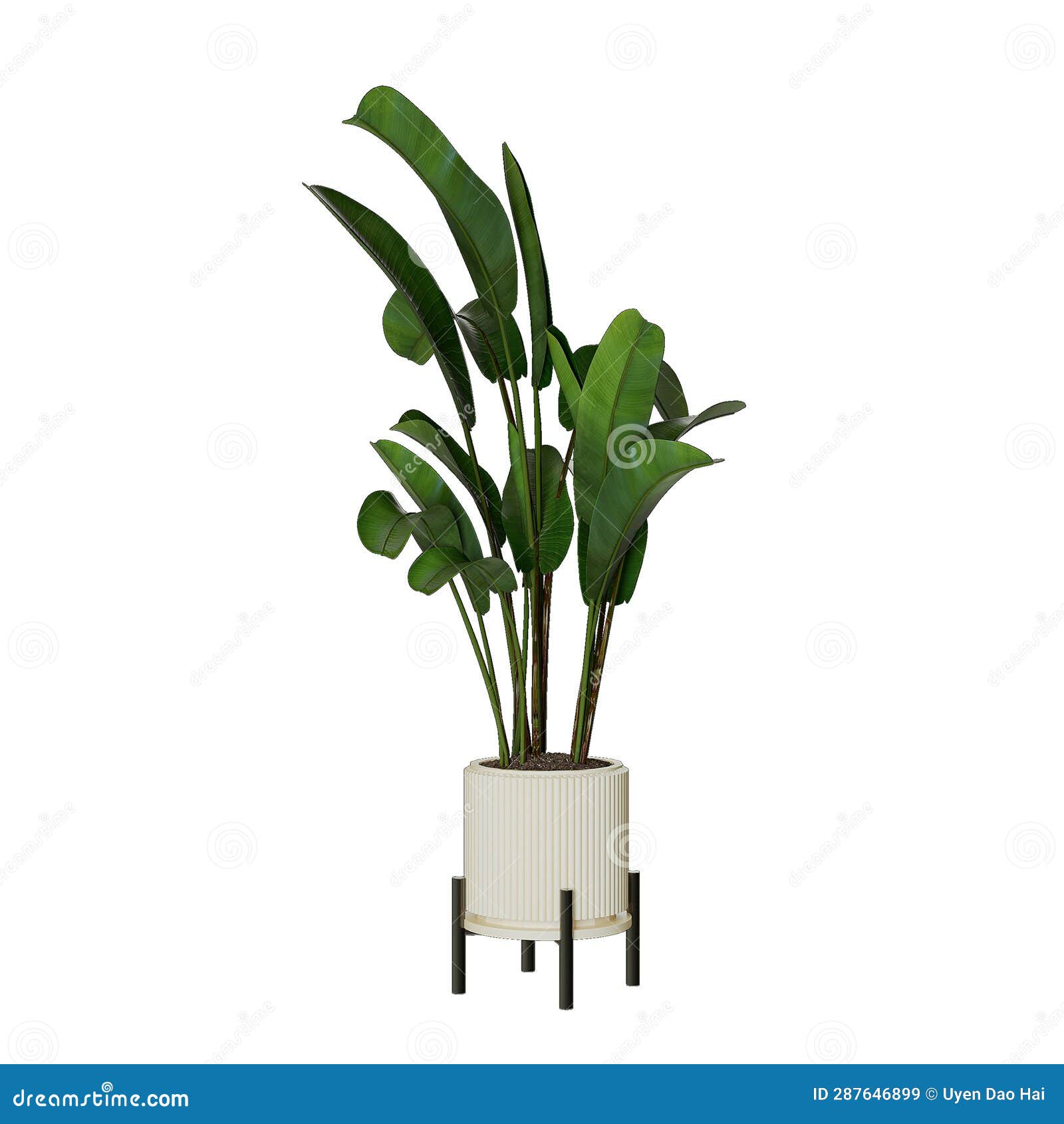 Enlivening Greenery: Captivating Potted Plants for Refreshing Indoor ...