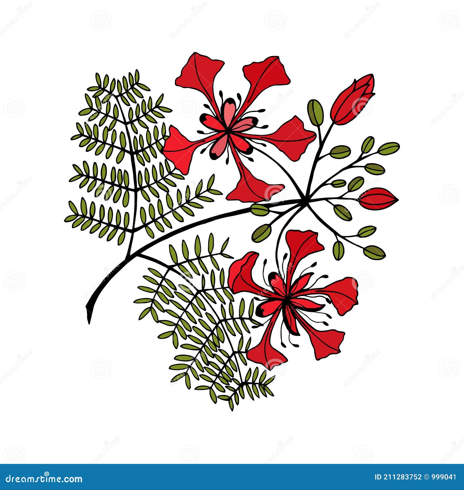 Plant with Flowers Delonix Regia and Leaves. Vector Stock Illustration ... Plant with Flowers Delonix Regia and Leaves. Vector Stock Illustration ...