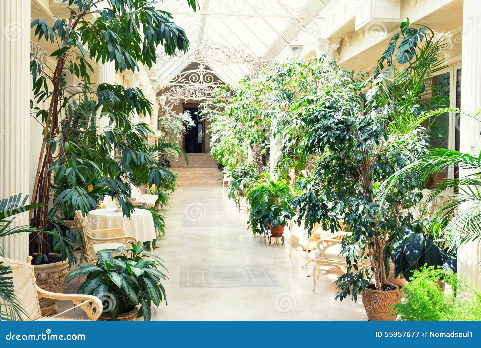 Plant gallery hall stock image. Image of floor, antique - 55957677