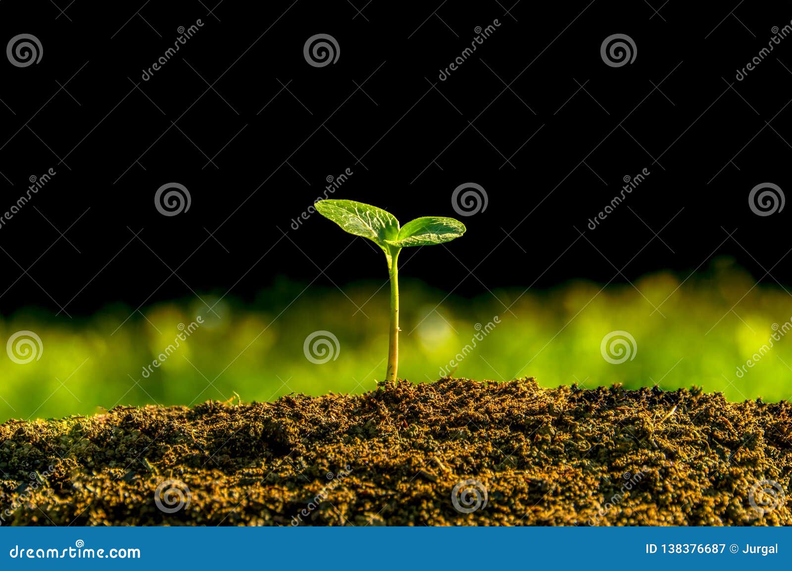 280 Marl Soil Stock Photos - Free & Royalty-Free Stock Photos from ...