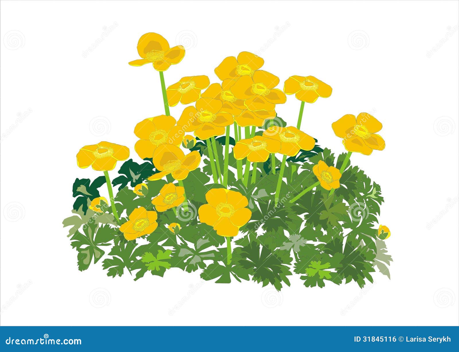 Plant Geum stock vector. Illustration of vegetation, design - 31845116