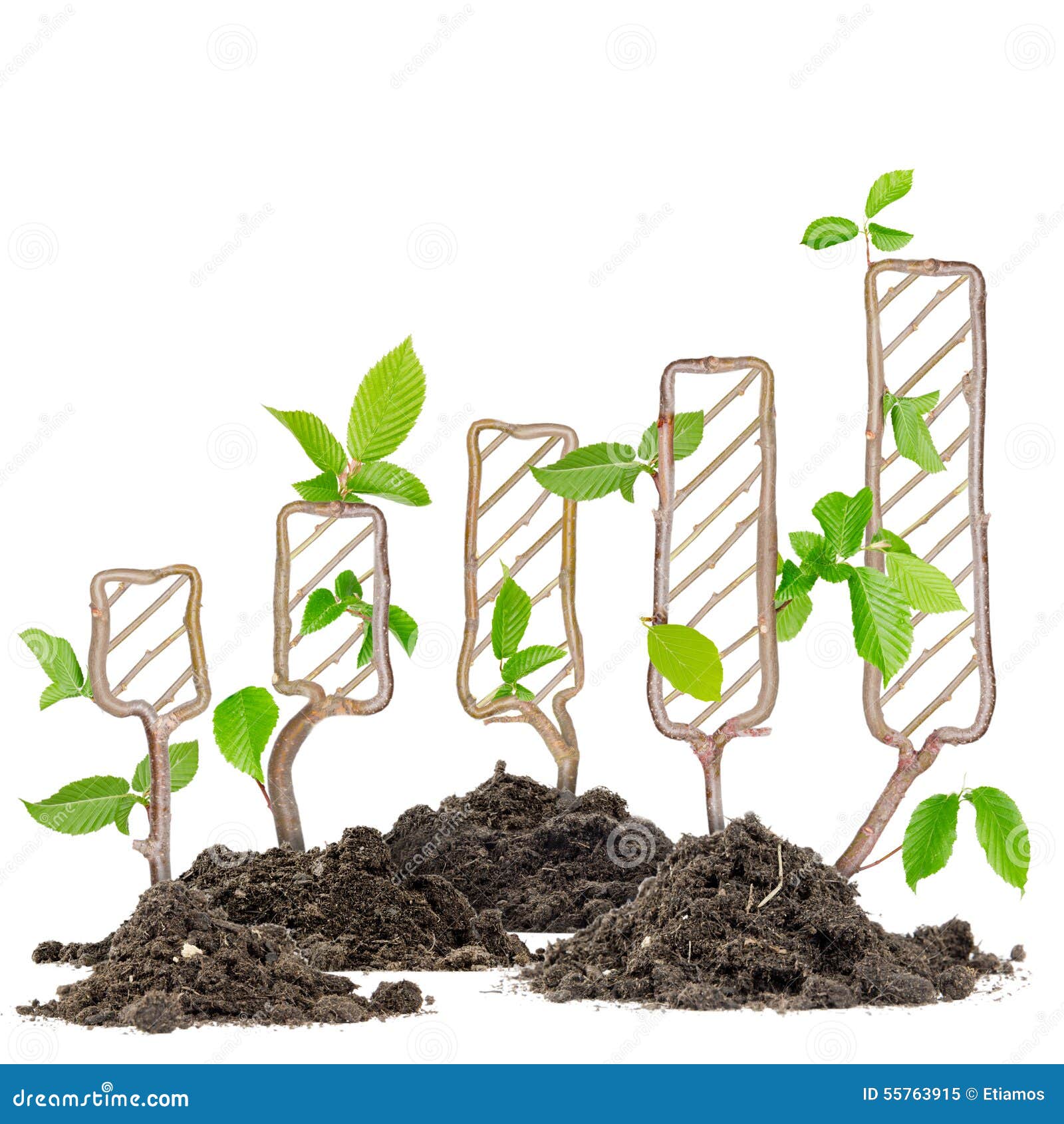 Plant graph stock image. Image of money, finance, investment - 55763915