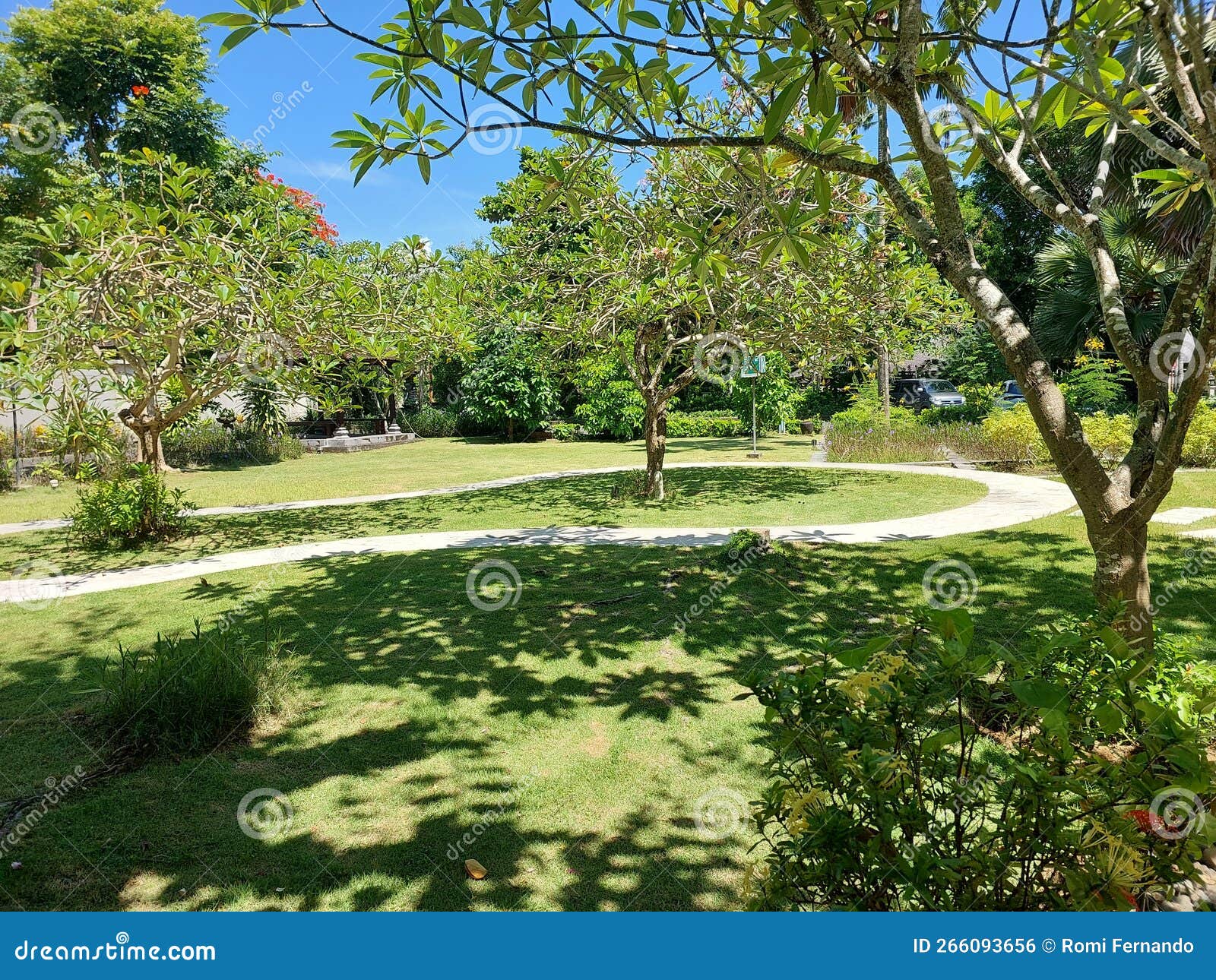 Plant Green with a Path that Circles the Tree Stock Photo - Image of ...