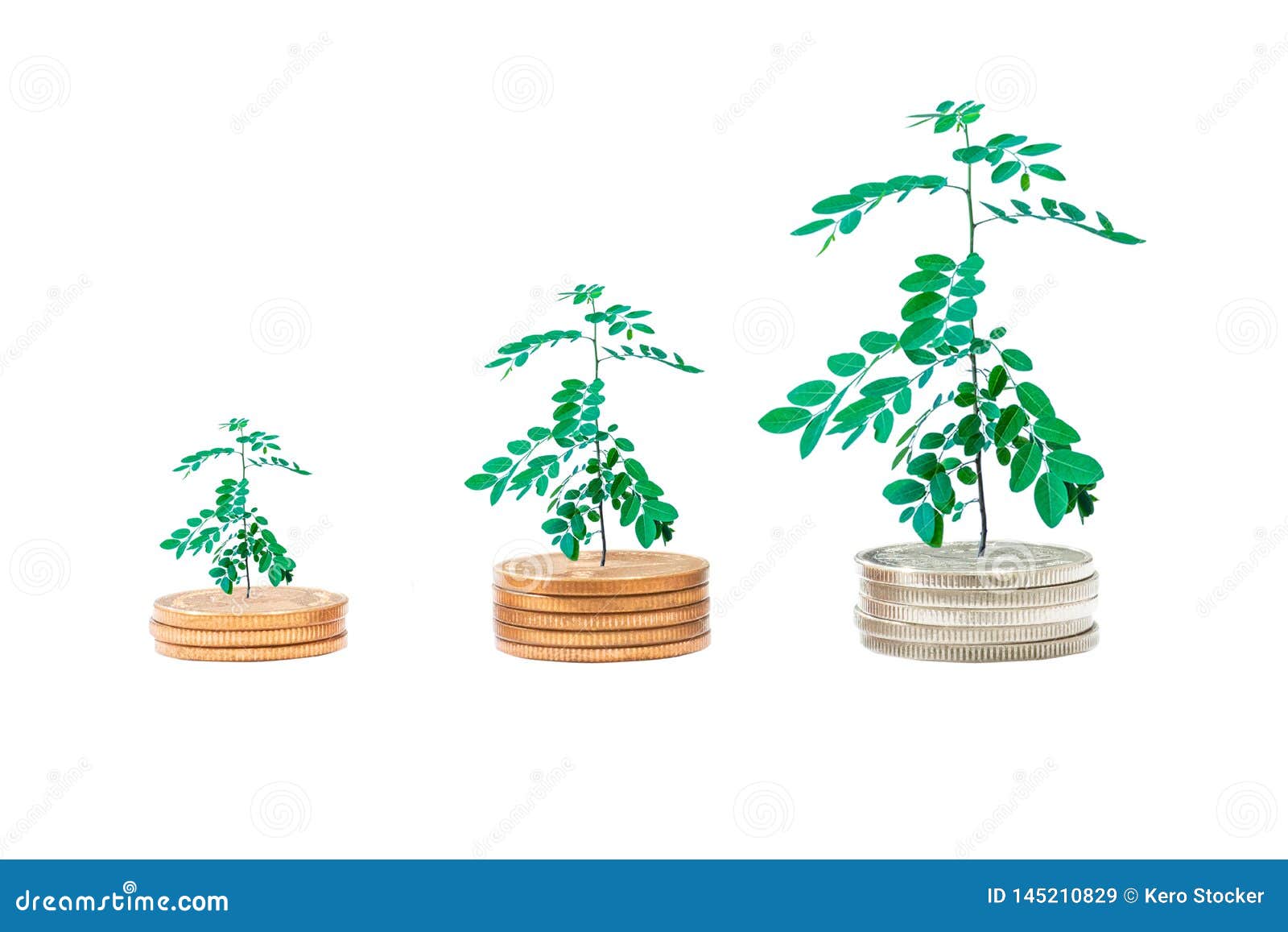 Plant Growing on Coins Stack Isolated Background. Stock Image - Image ...