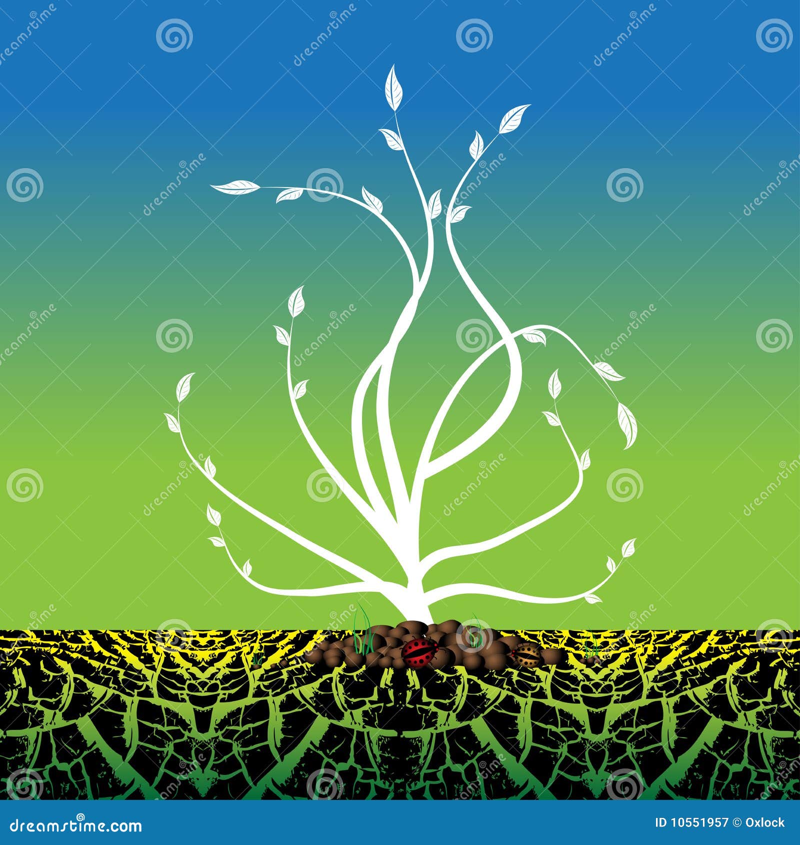 Plant Growing from Dry Soil Stock Vector - Illustration of evergreen ...