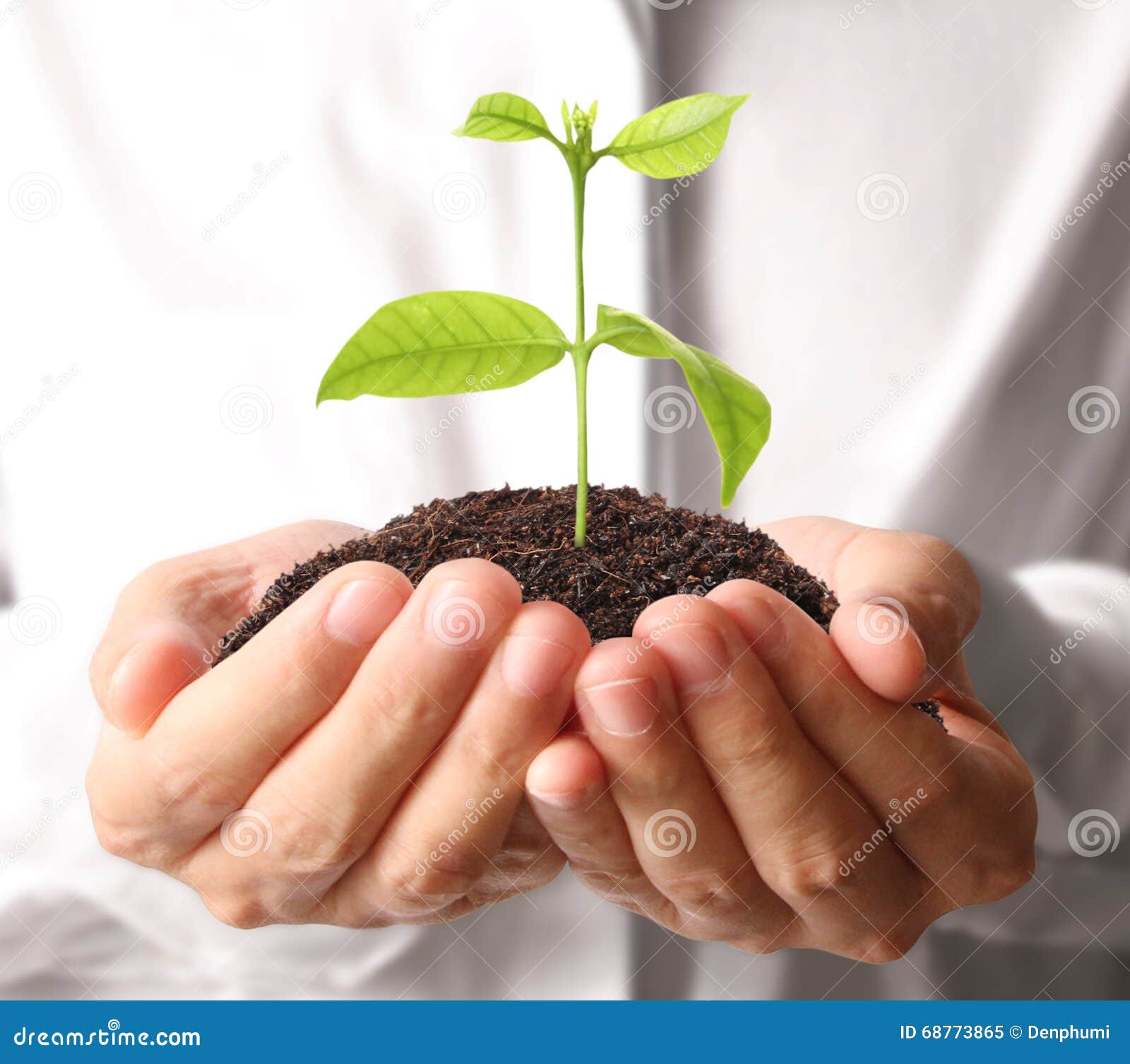 Plant growing in hand stock image. Image of background - 68773865