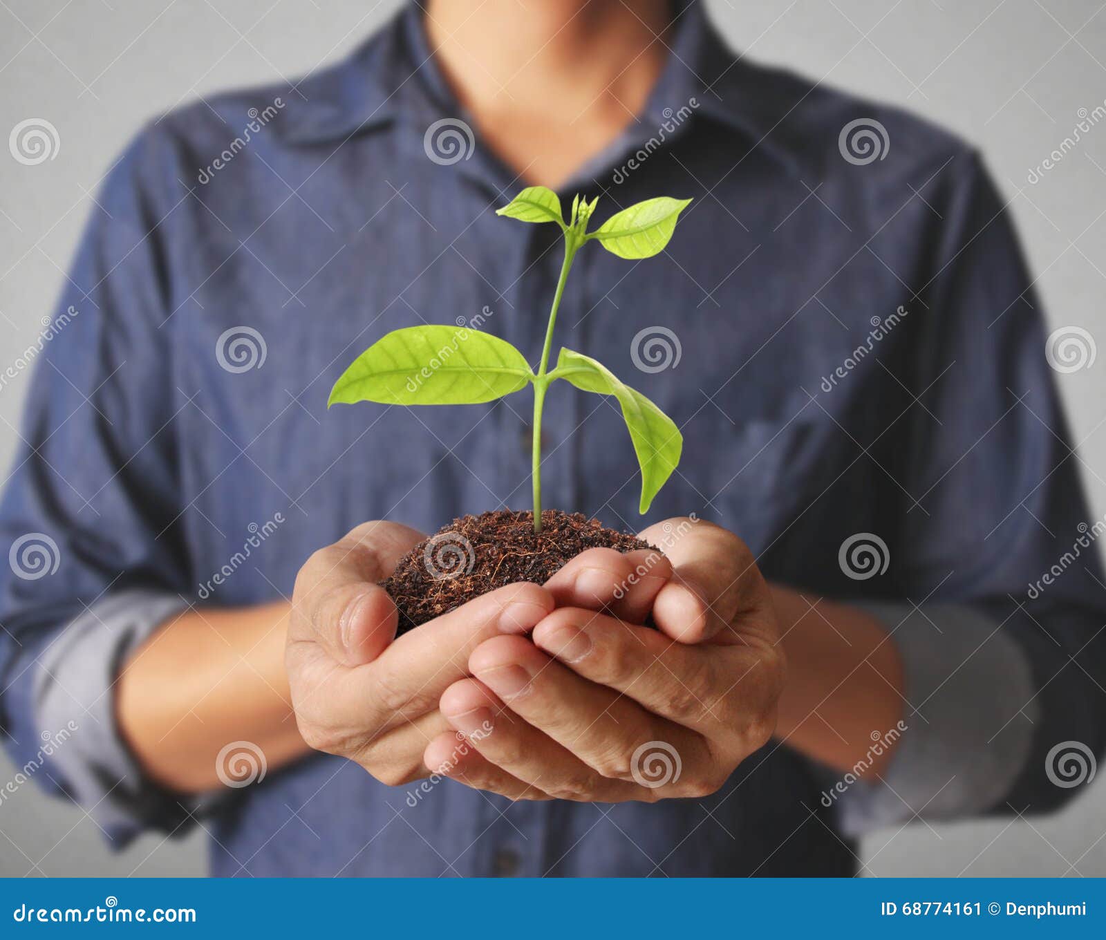 Plant growing in hand stock image. Image of branch, coin - 68774161