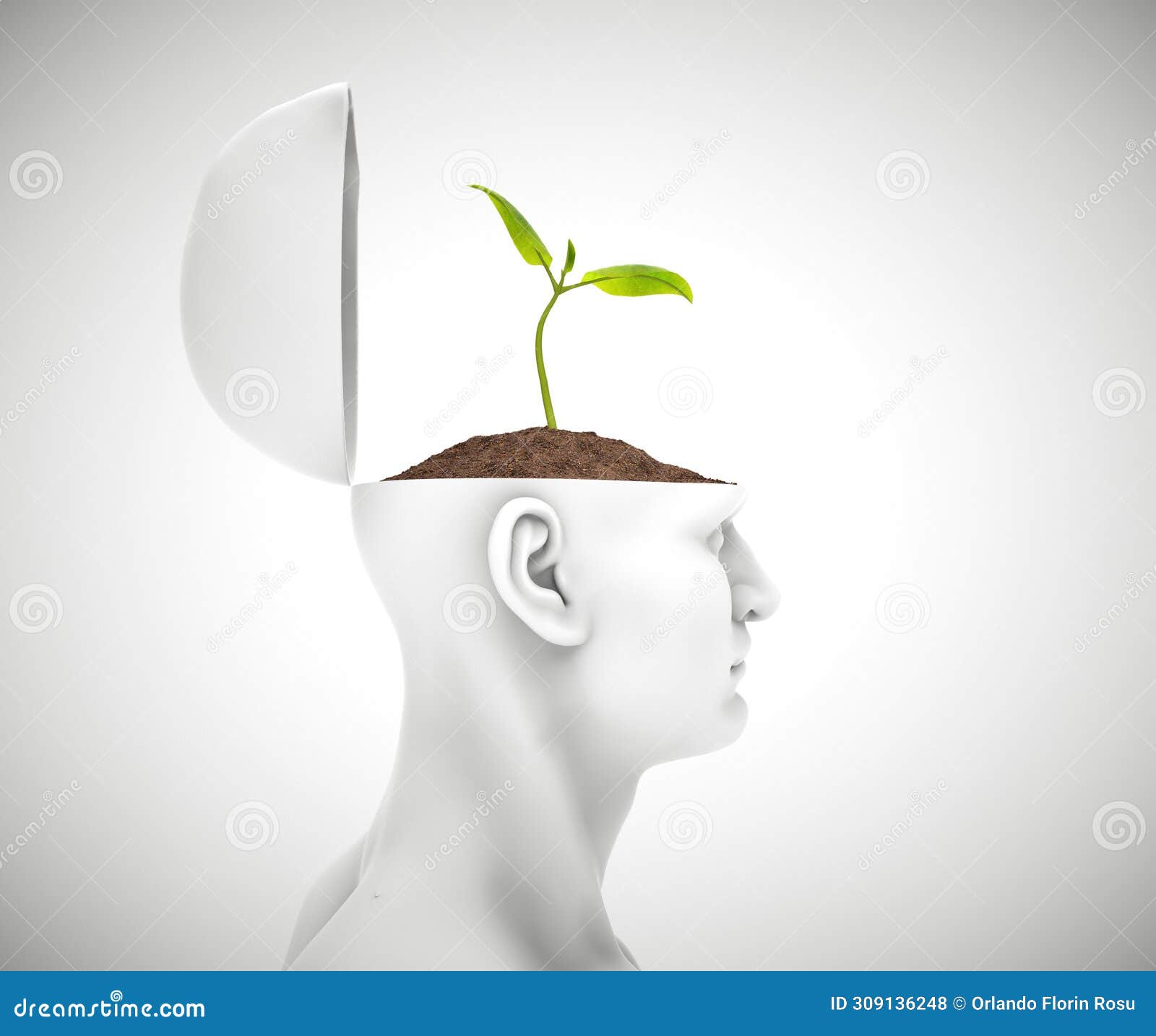 Plant Growing from Head. Brainstorming, Idea, Intelligence Concept ...
