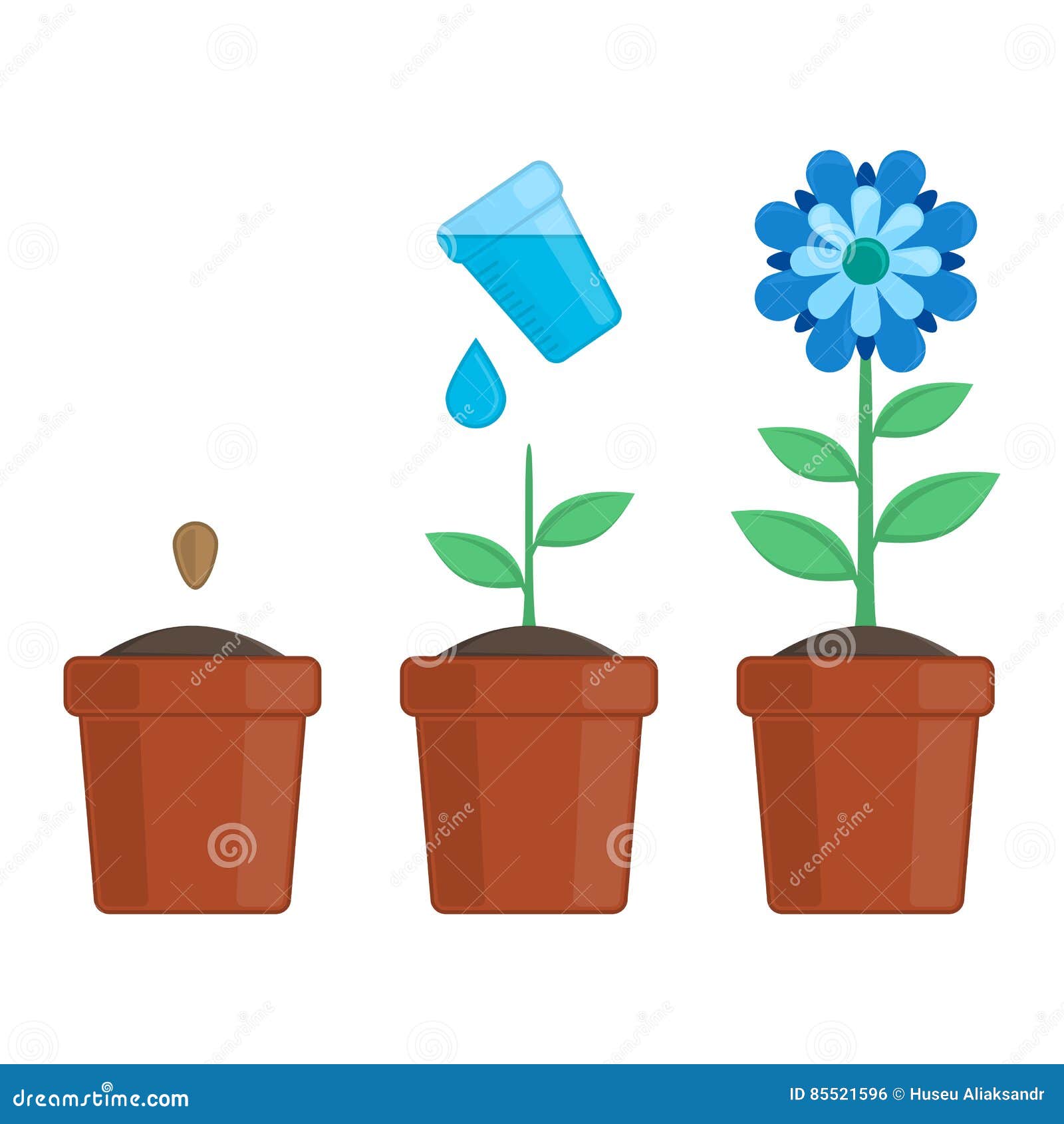 Plant growing stages. stock vector. Illustration of development - 85521596 Plant growing stages. stock vector. Illustration of development - 85521596