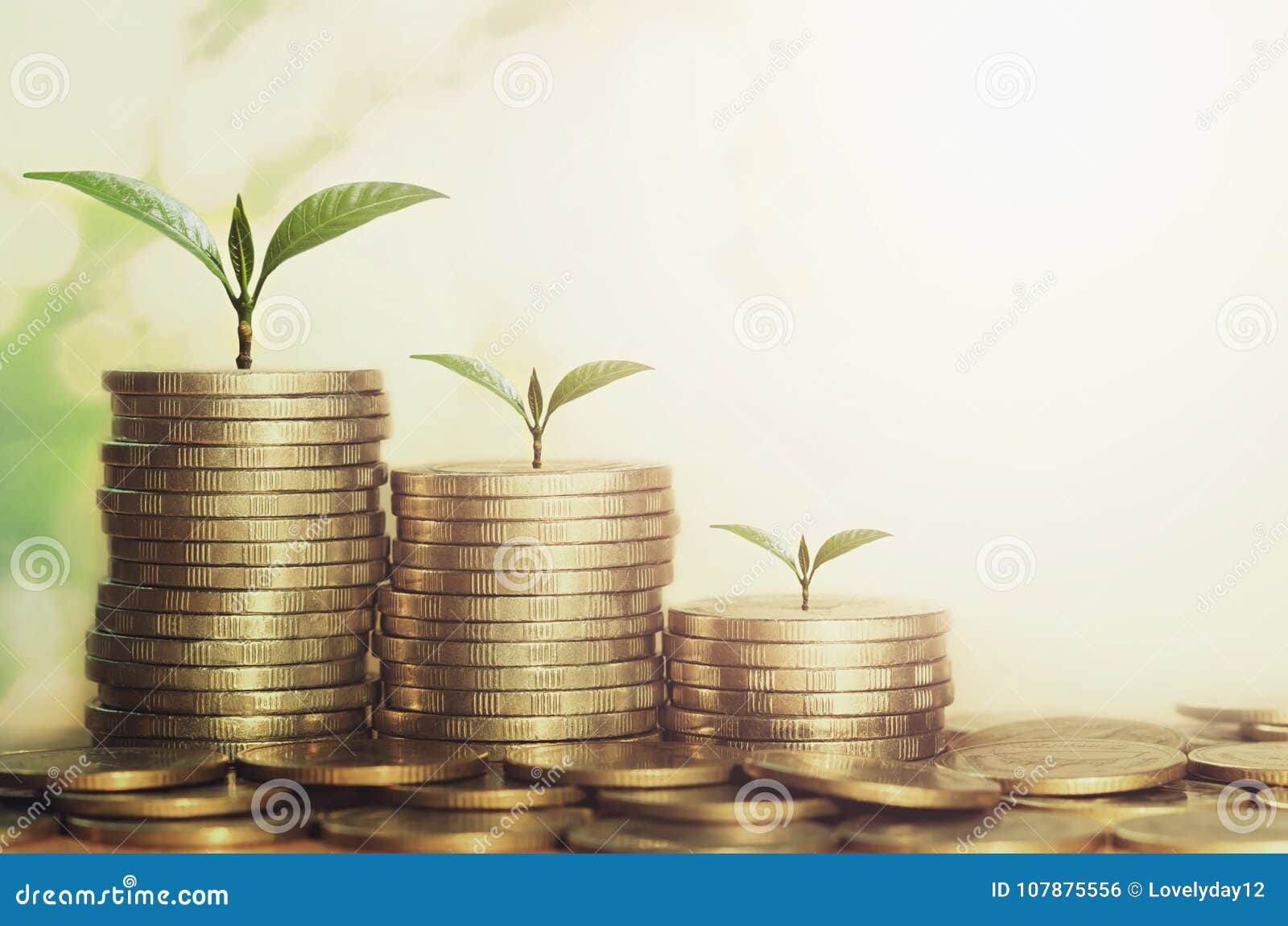 Plant Growing Step of Money Stack Stock Photo - Image of economic ...
