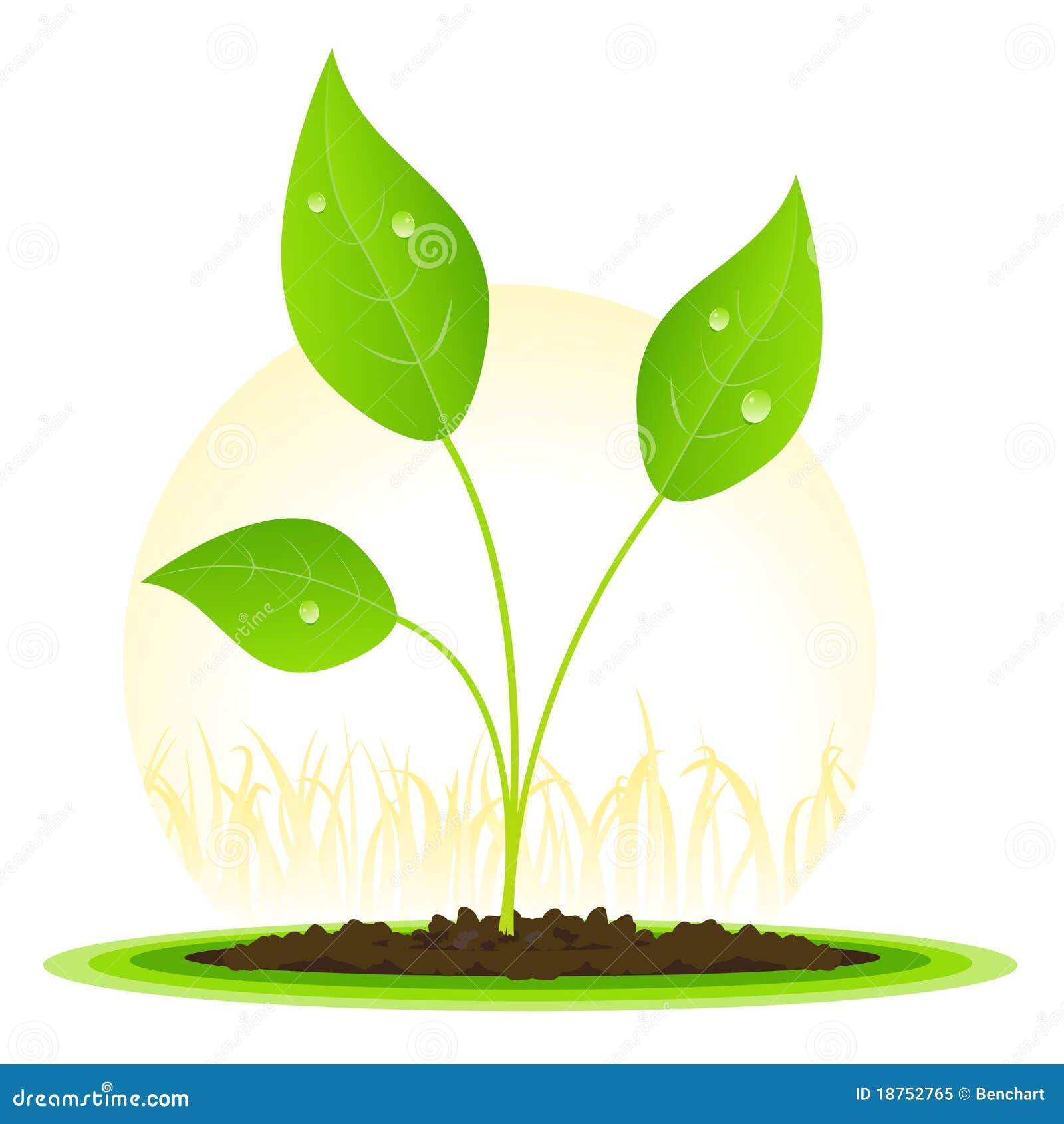 Plant Growth stock vector. Illustration of land, fertilizer - 18752765