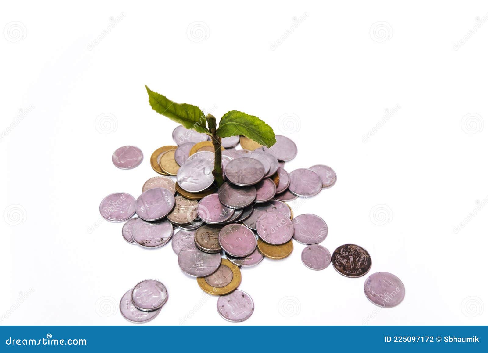 Plant Growth through a Stack of Coins Stock Photo - Image of horizontal ...