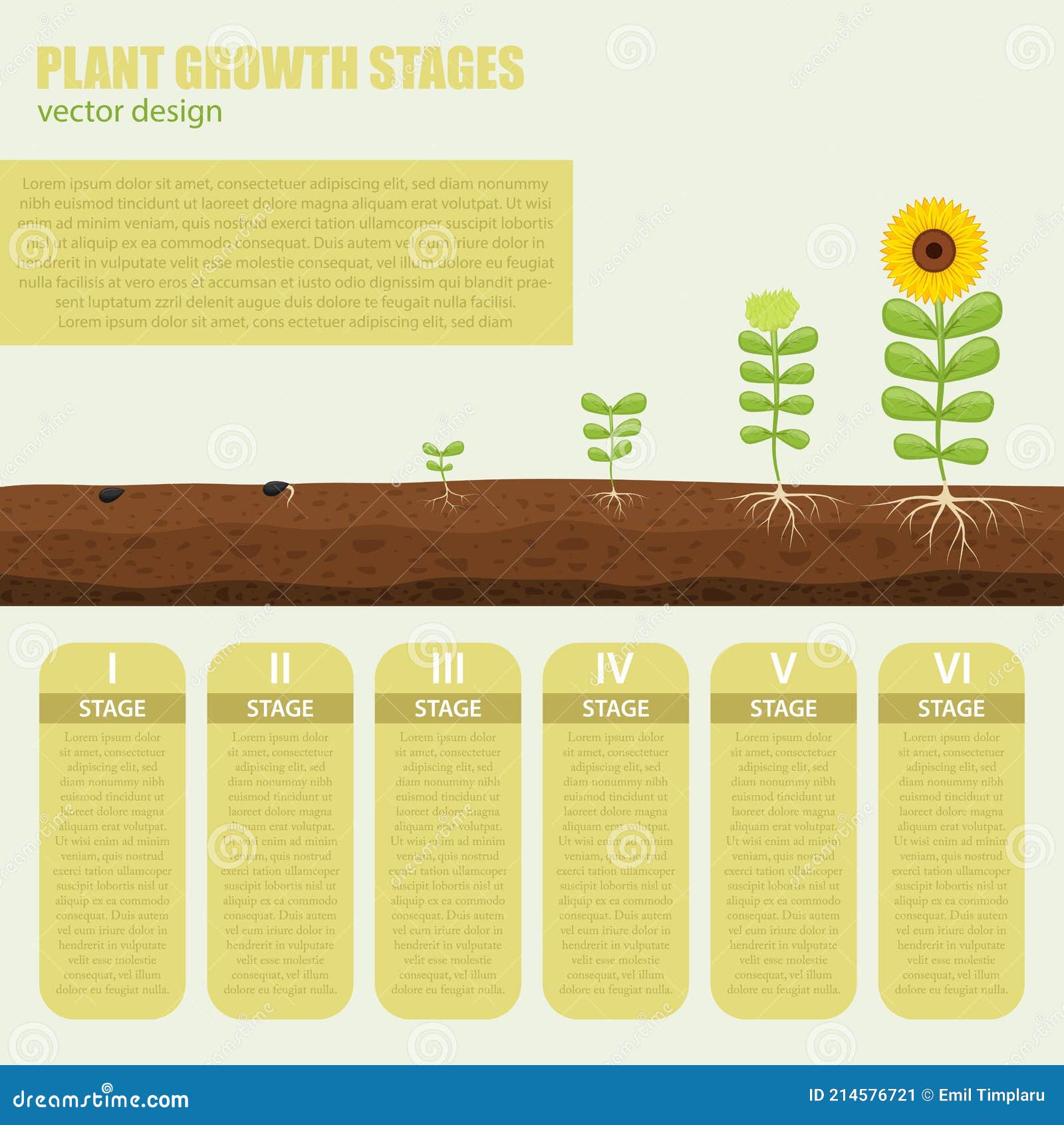 Plant growth stages stock vector. Illustration of seedling - 214576721