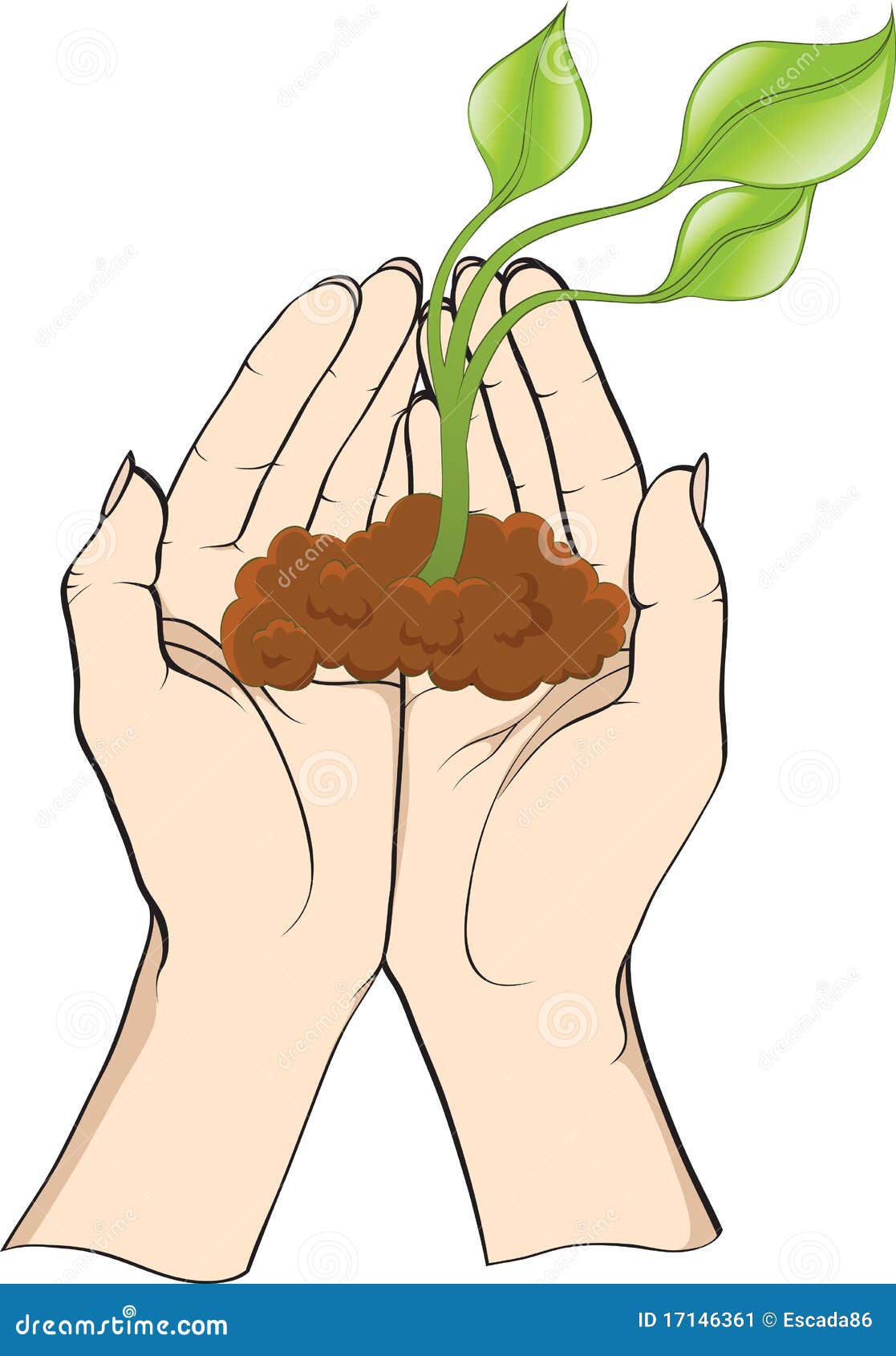 Plant in hands stock vector. Illustration of palms, fingernails - 17146361