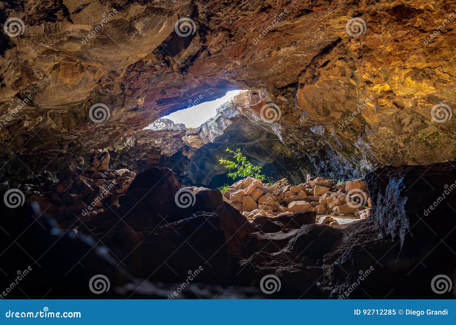 Plant Hit by Sunlight at Ana Te Pahu Cave - Easter Island, Chile Stock ...