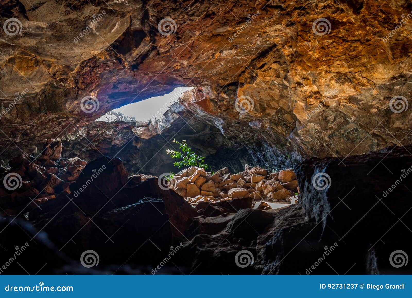 Plant Hit by Sunlight at Ana Te Pahu Cave - Easter Island, Chile Stock ...