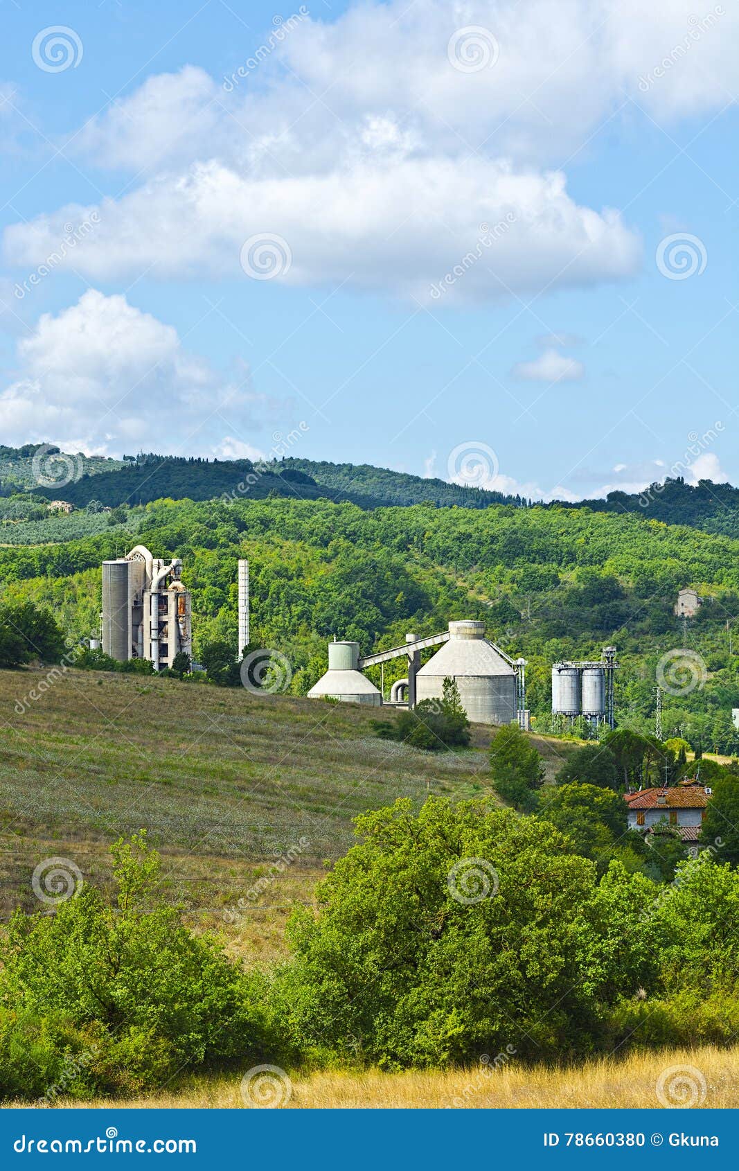 Plant in Italy stock photo. Image of nature, process - 78660380