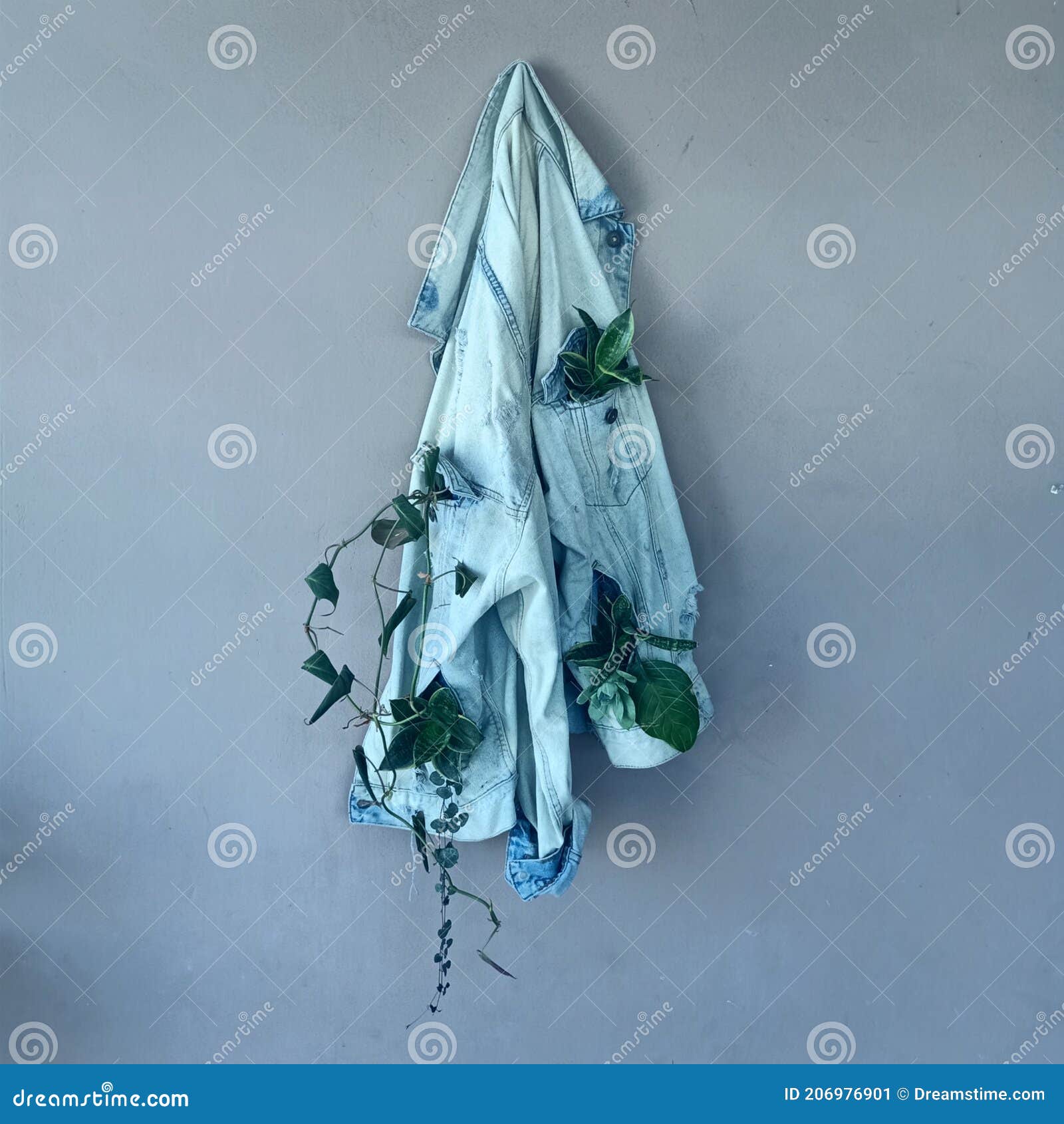 Plant in the jacket stock image. Image of textile, green - 206976901