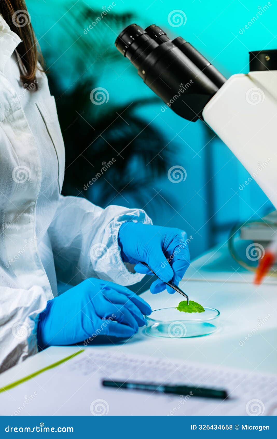 Plant Laboratory. Biology Technician Working with Plants Stock Photo ...