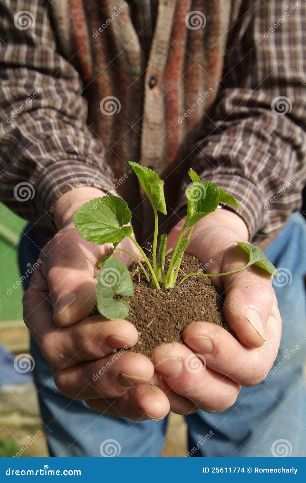 Plant and Land in the Hands Stock Photo - Image of transportation, life ...