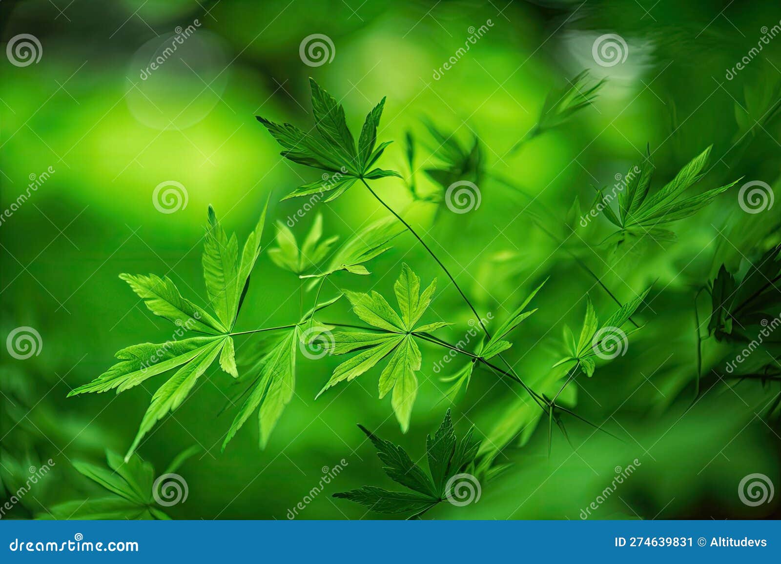 Plant Leaf Explosion with Focus on Vibrant Green Leaves and Blurry ...