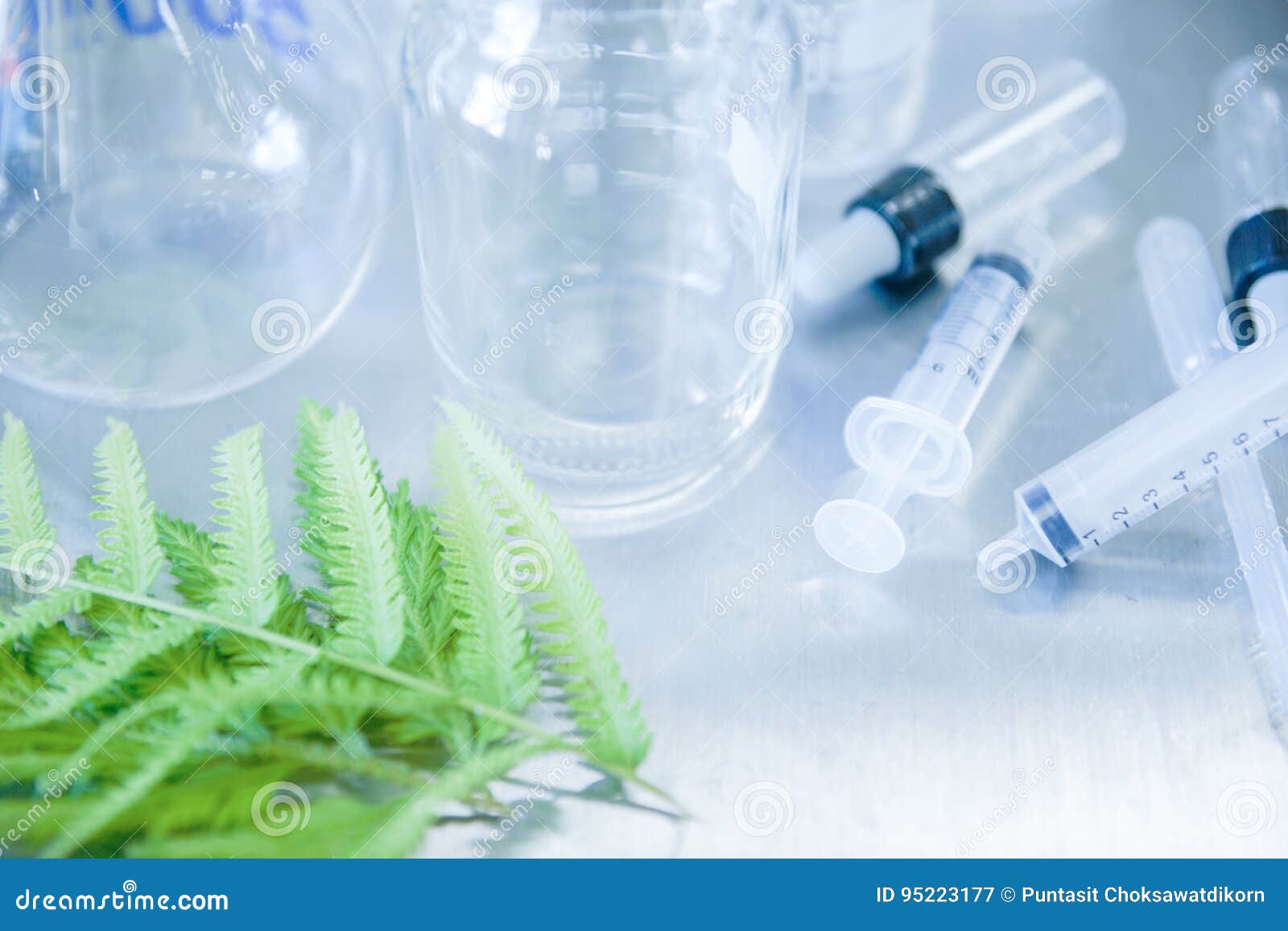 Plant Leaf with Laboratory Glassware and Syringe Stock Image - Image of ...