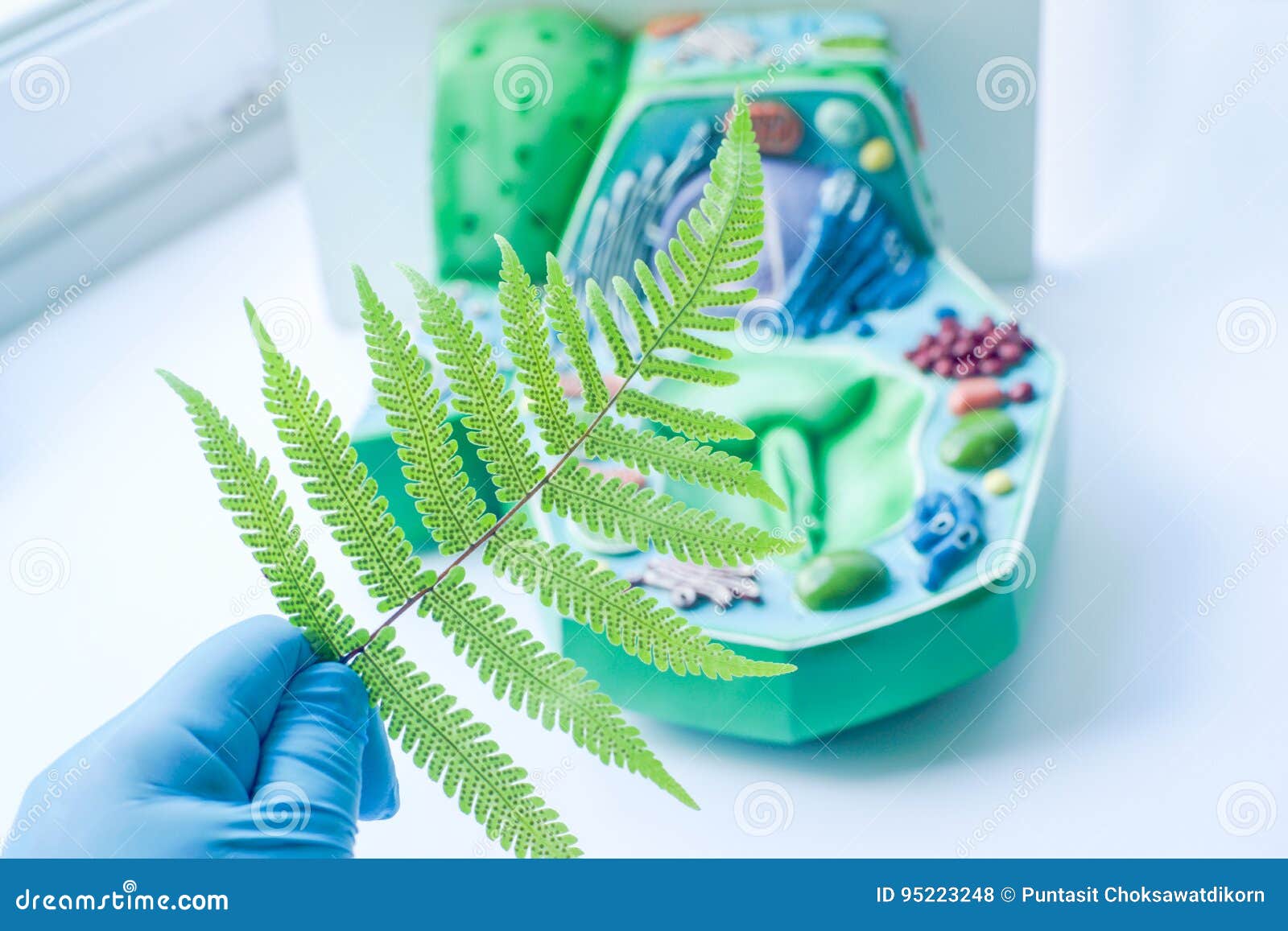 Plant Leaf with Model Plant Cell Stock Photo - Image of molecules ...
