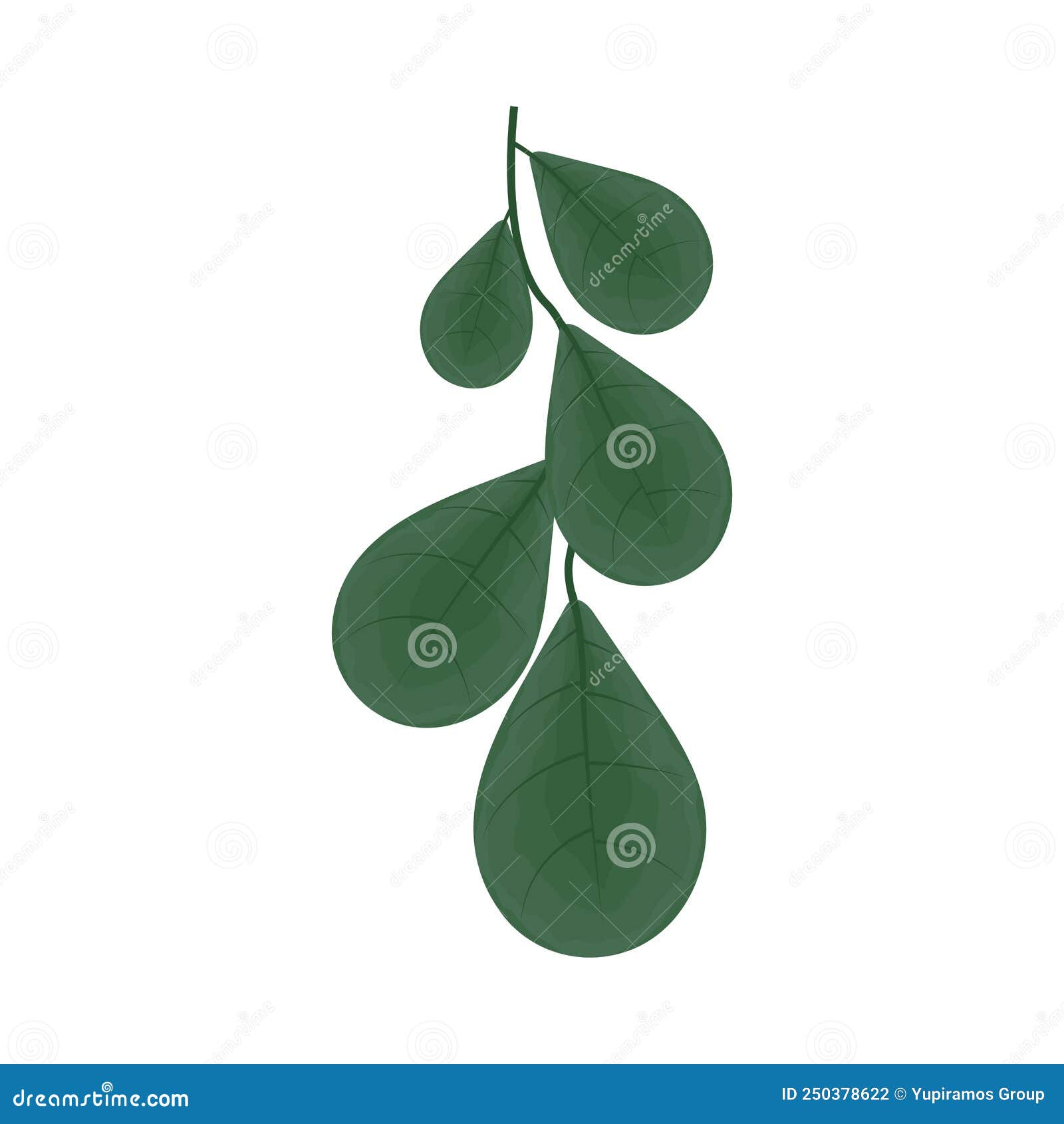 Plant leaf icon stock vector. Illustration of foliage - 250378622