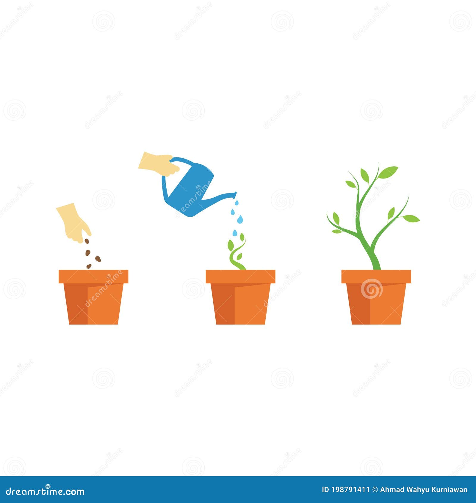 Life Process Of Golden Tree. Vector | CartoonDealer.com #14042889