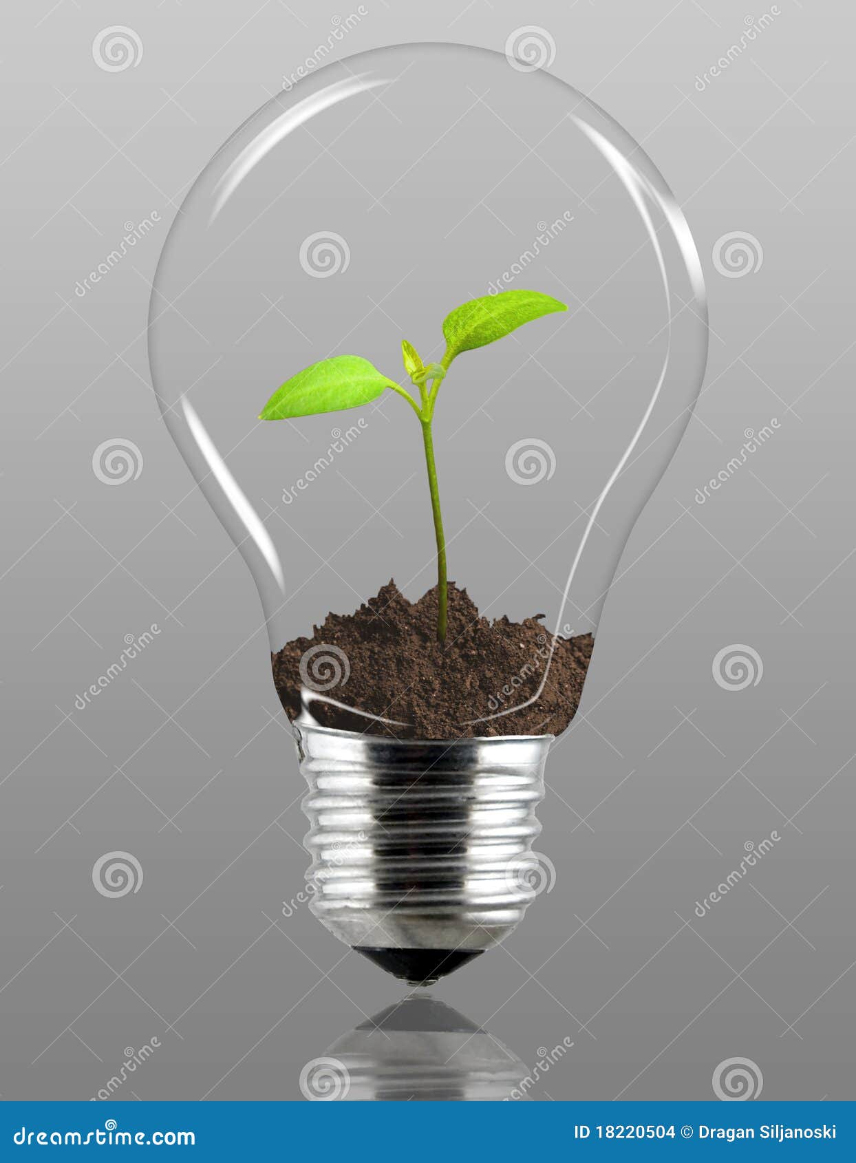 Plant in light bulb stock photo. Image of future, electricity - 18220504