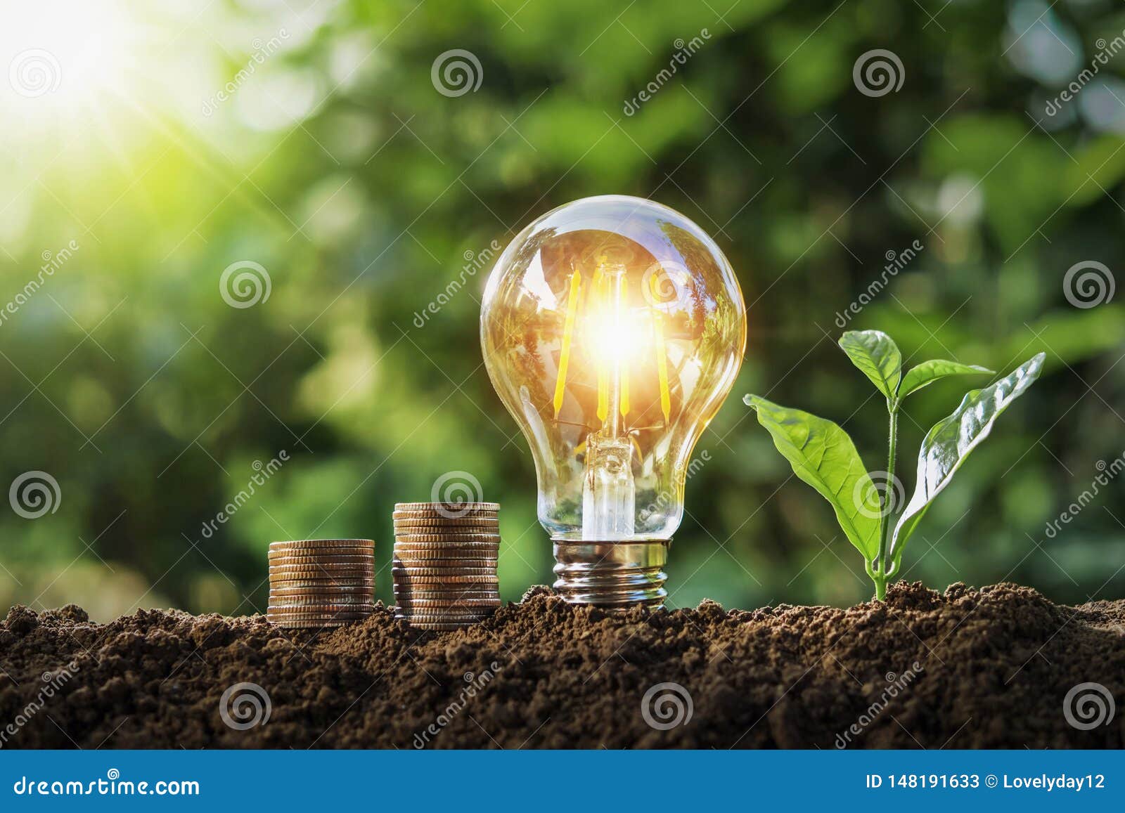 Plant with Light Bulb and Money Stack Growing on Soil with Sunshine ...