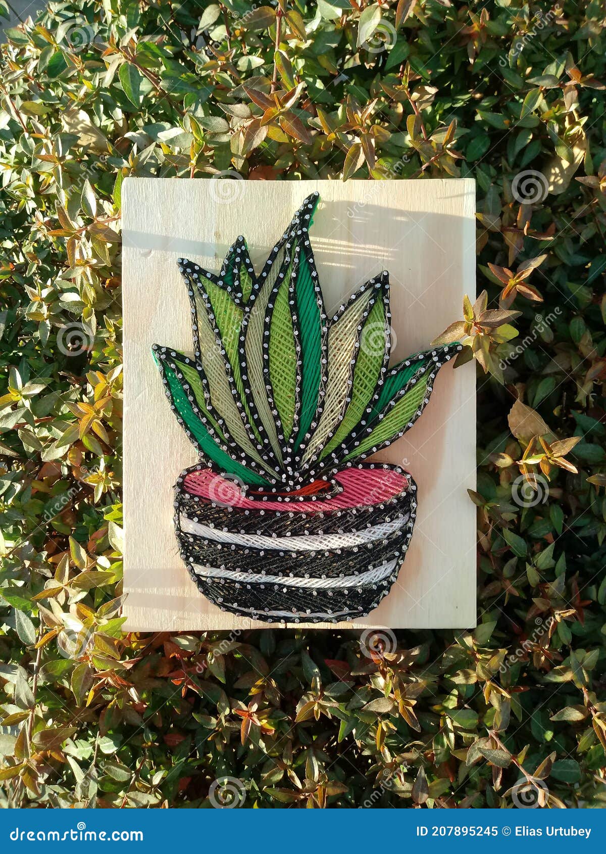 Plant made string art stock image. Image of green, autumn - 207895245