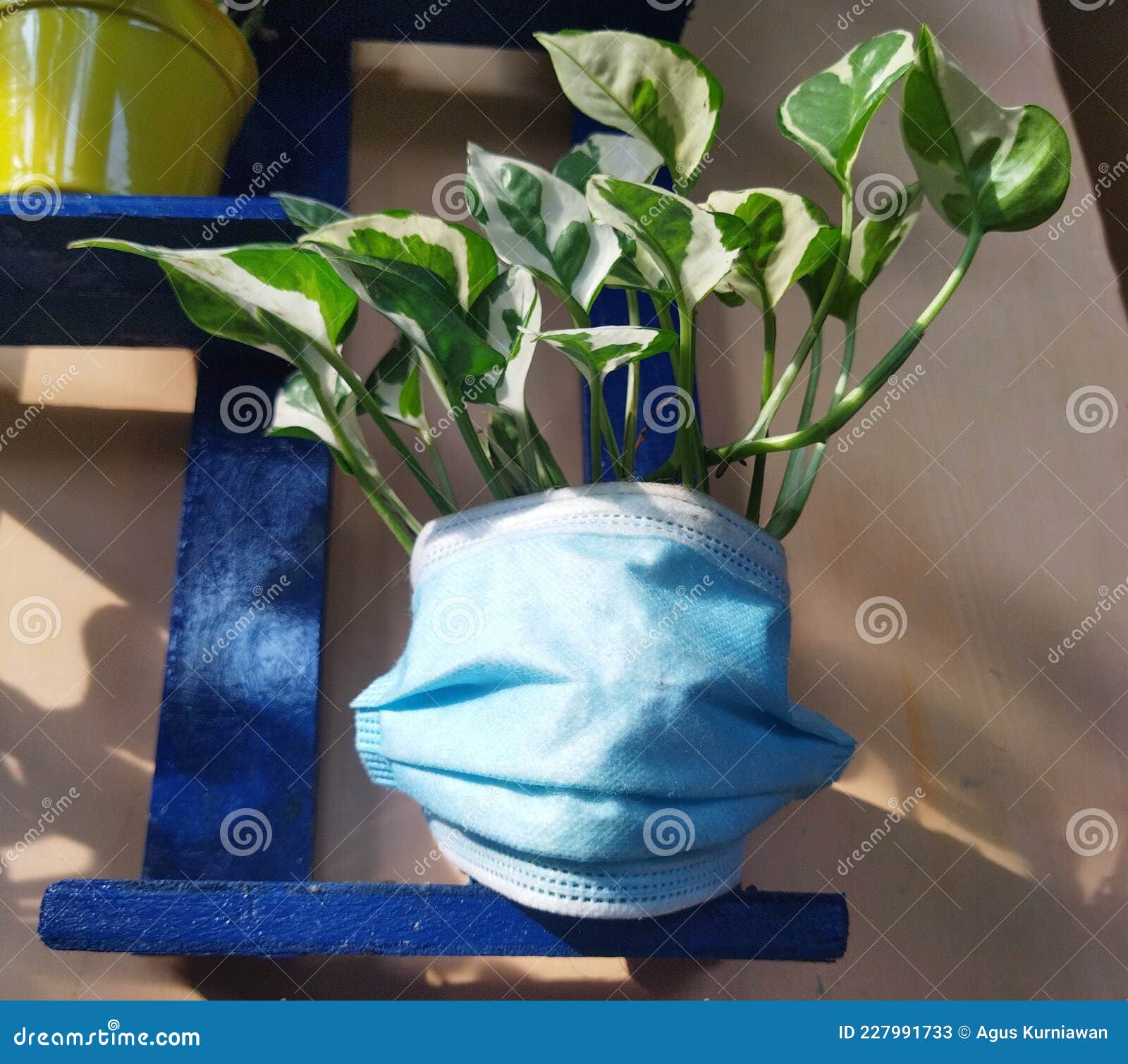 A Plant with a Mask As a Pot Stock Image - Image of bouquet, green ...
