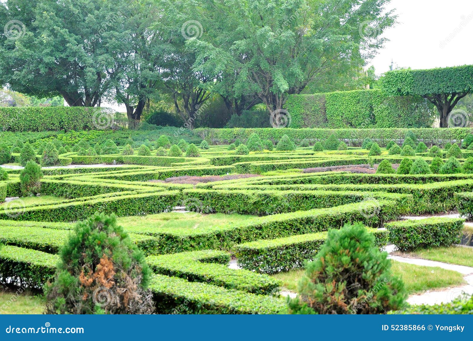 Plant maze stock photo. Image of tourist, trees, tourism - 52385866