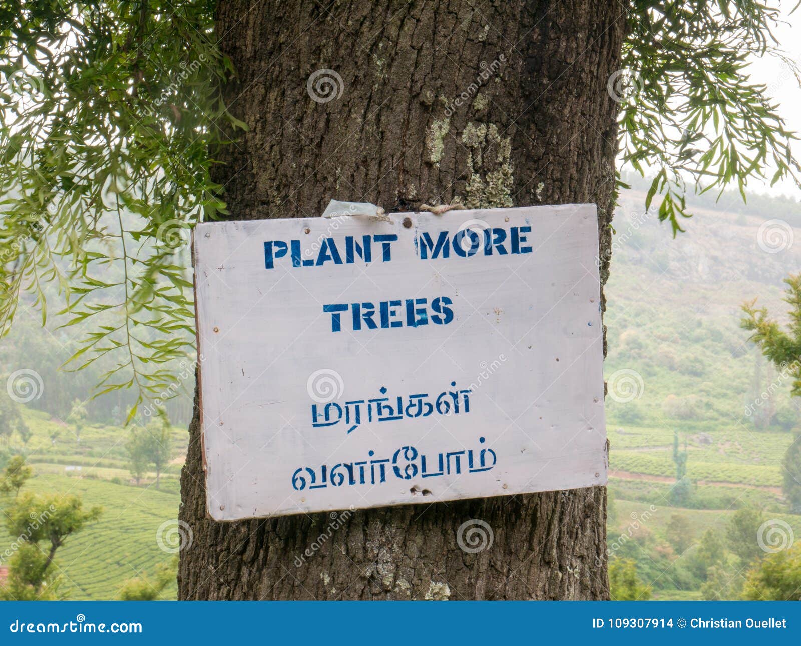 Plant More Trees Sign in Ooty, Tamil Nadu, India Editorial Stock Image ... Plant More Trees Sign in Ooty, Tamil Nadu, India Editorial Stock Image ...
