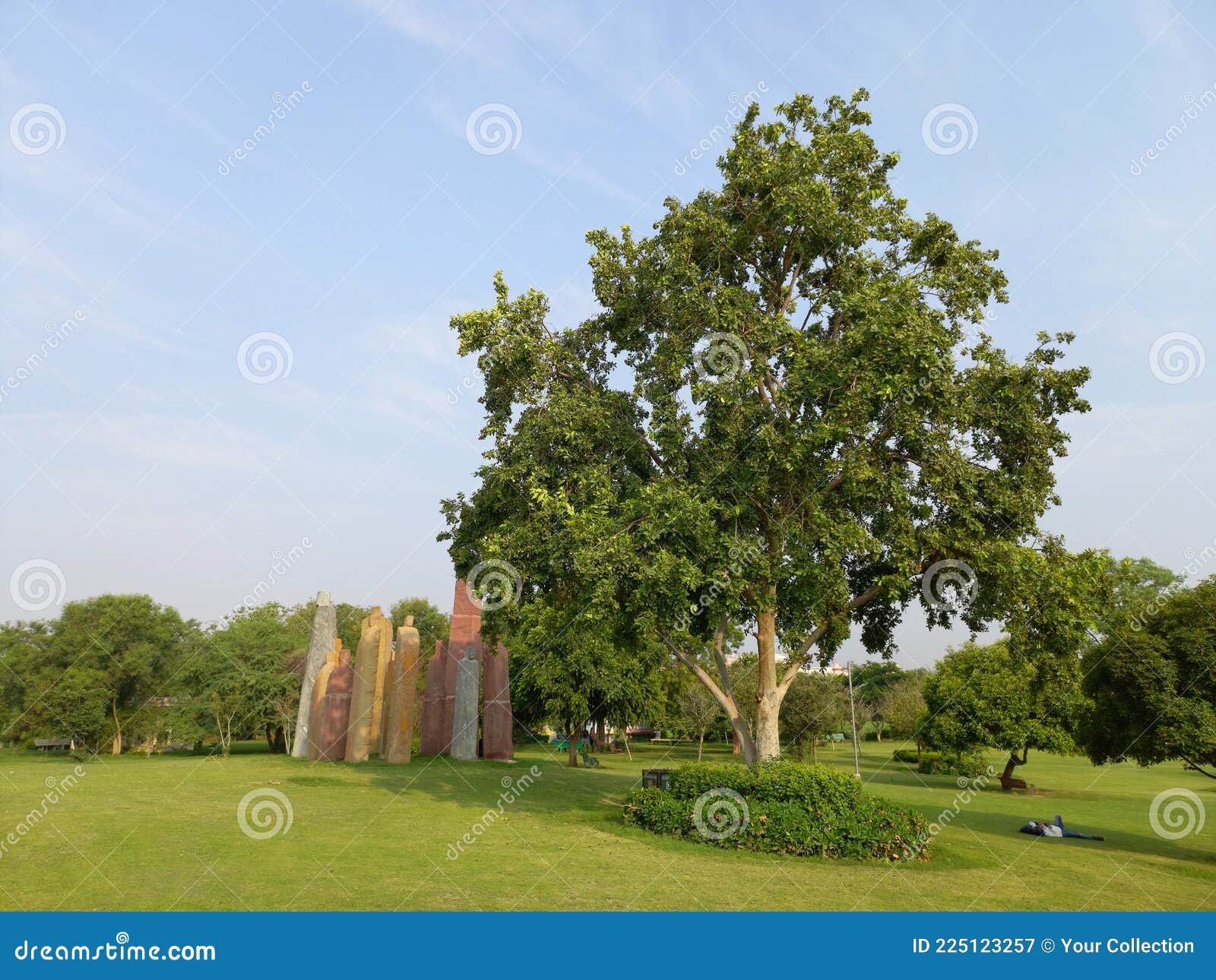 Plant Name Is Balam Kheera Royalty-Free Stock Image | CartoonDealer.com ...