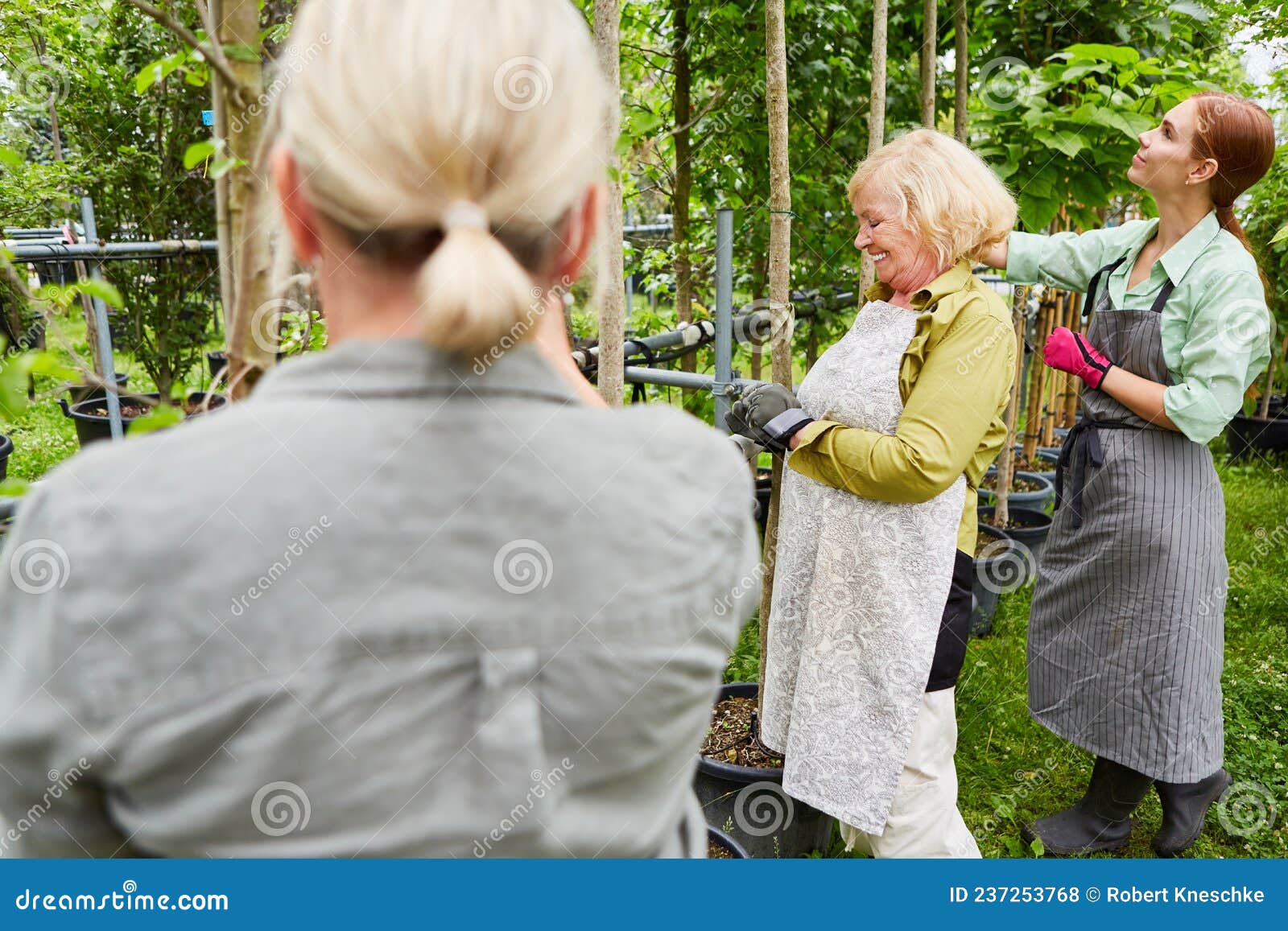 Plant Nursery Team Working Together on Tree Care Stock Photo - Image of ...