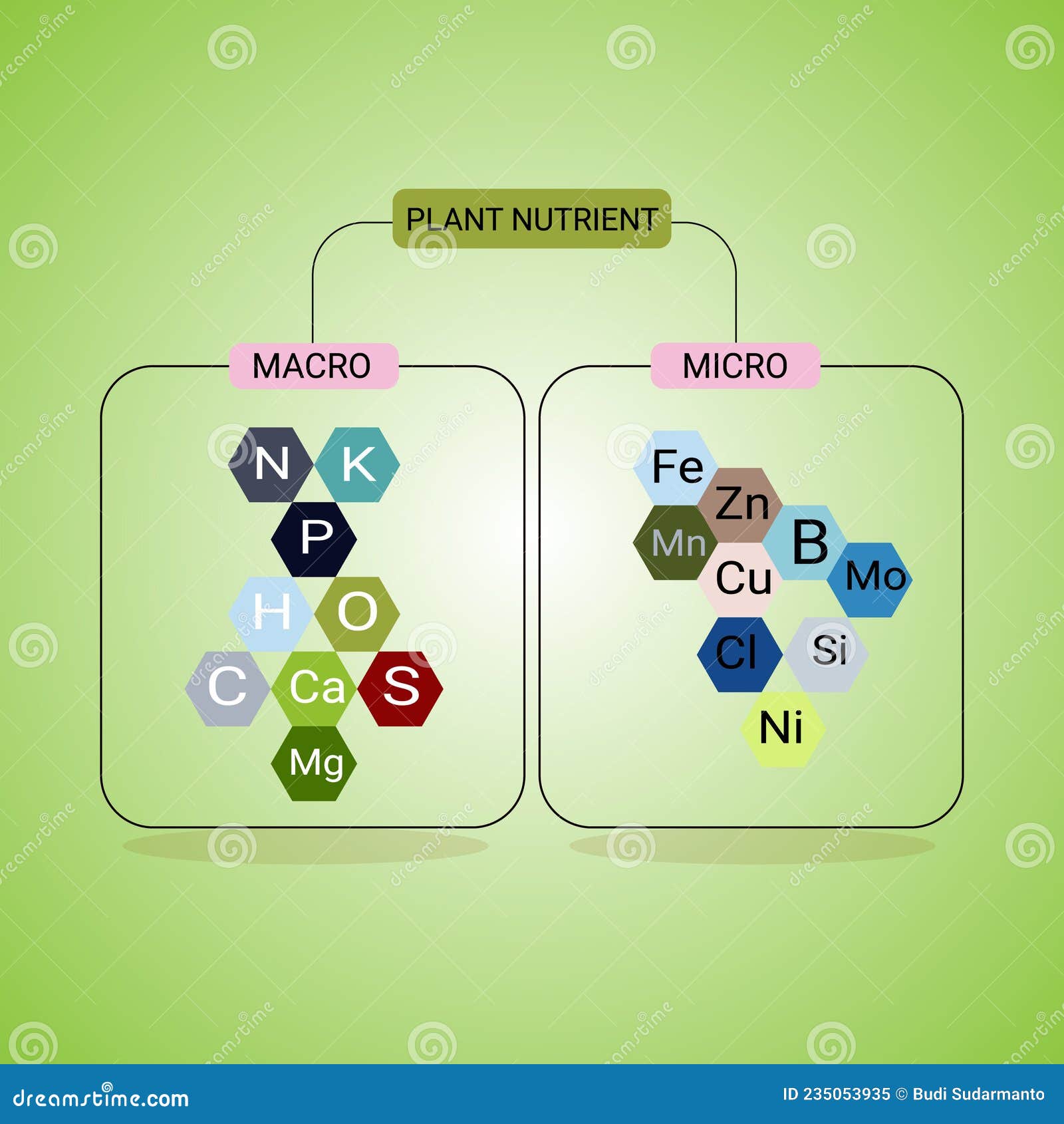 Plant Nutrient Macro and Micro, Main Needs Unsure of Plants Stock ...