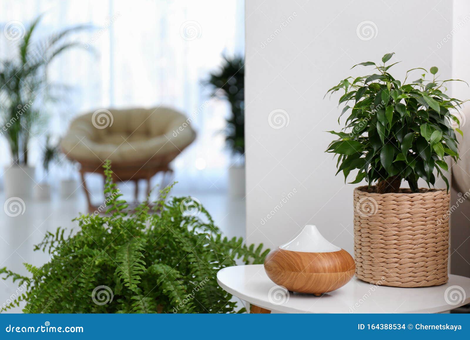 Plant and Oil Diffuser on Table. Home Design Idea Stock Photo - Image ...