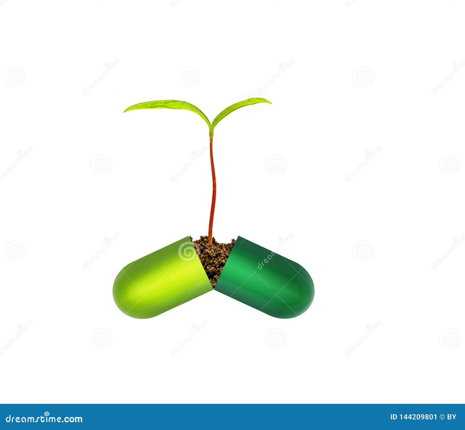 Plant in pill stock image. Image of growth, plant, spruce - 144209801