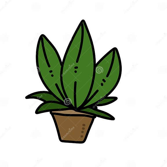 Plant Plant In Ceramic Pot Illustration Stock Illustration