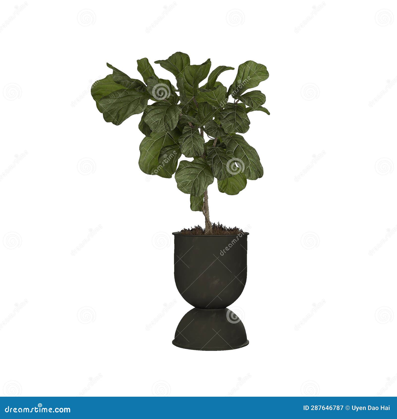 Enlivening Greenery: Captivating Potted Plants for Refreshing Indoor ...