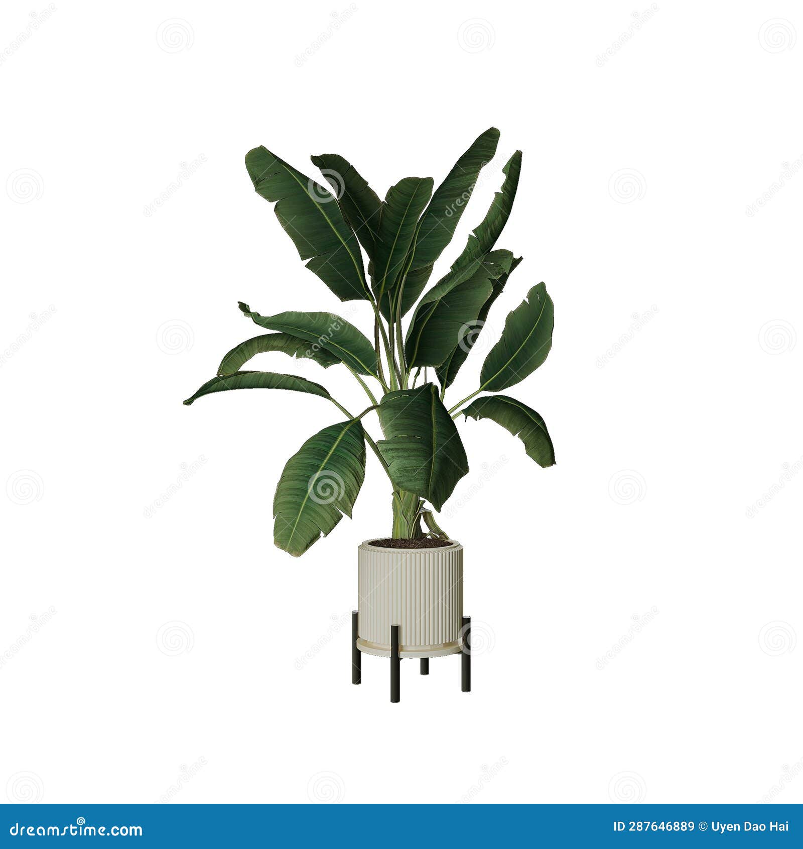 Enlivening Greenery: Captivating Potted Plants for Refreshing Indoor ...