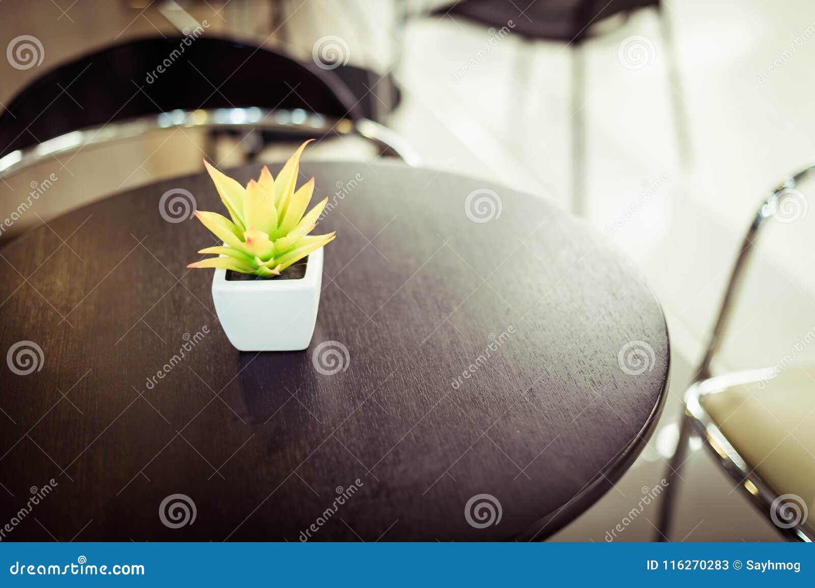 Plant pot on coffee table stock image. Image of decorate - 116270283