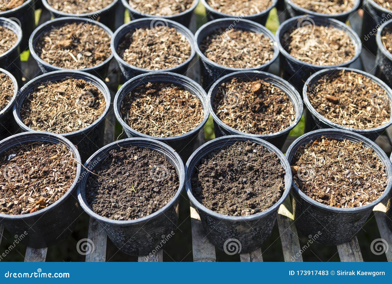 Soil Preparation Before Sowing The Lawn With A Soil Cultivator. Soil ... Soil Preparation Before Sowing The Lawn With A Soil Cultivator. Soil ...