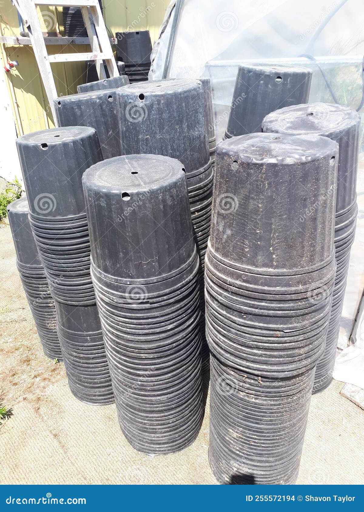 Plant pot stacks stock photo. Image of gardening, stacks - 255572194