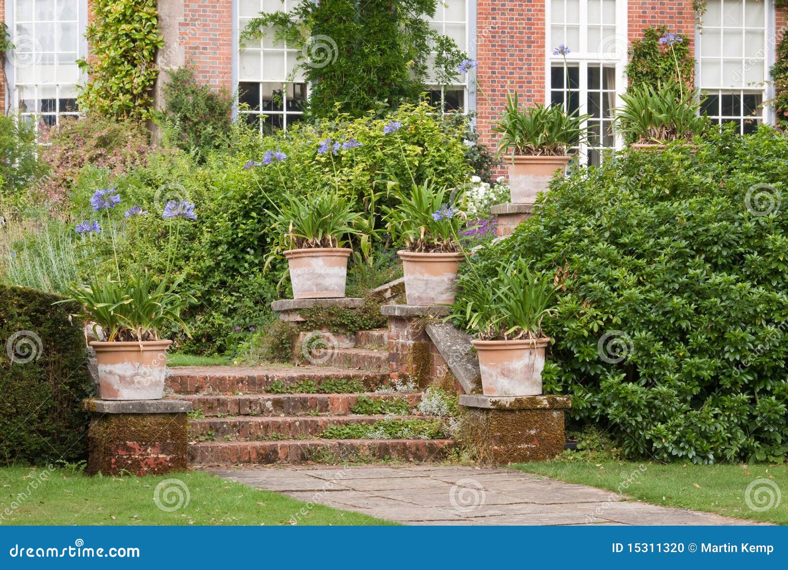 Plant Pots and the Garden Steps Stock Photo - Image of plant, gardening ...